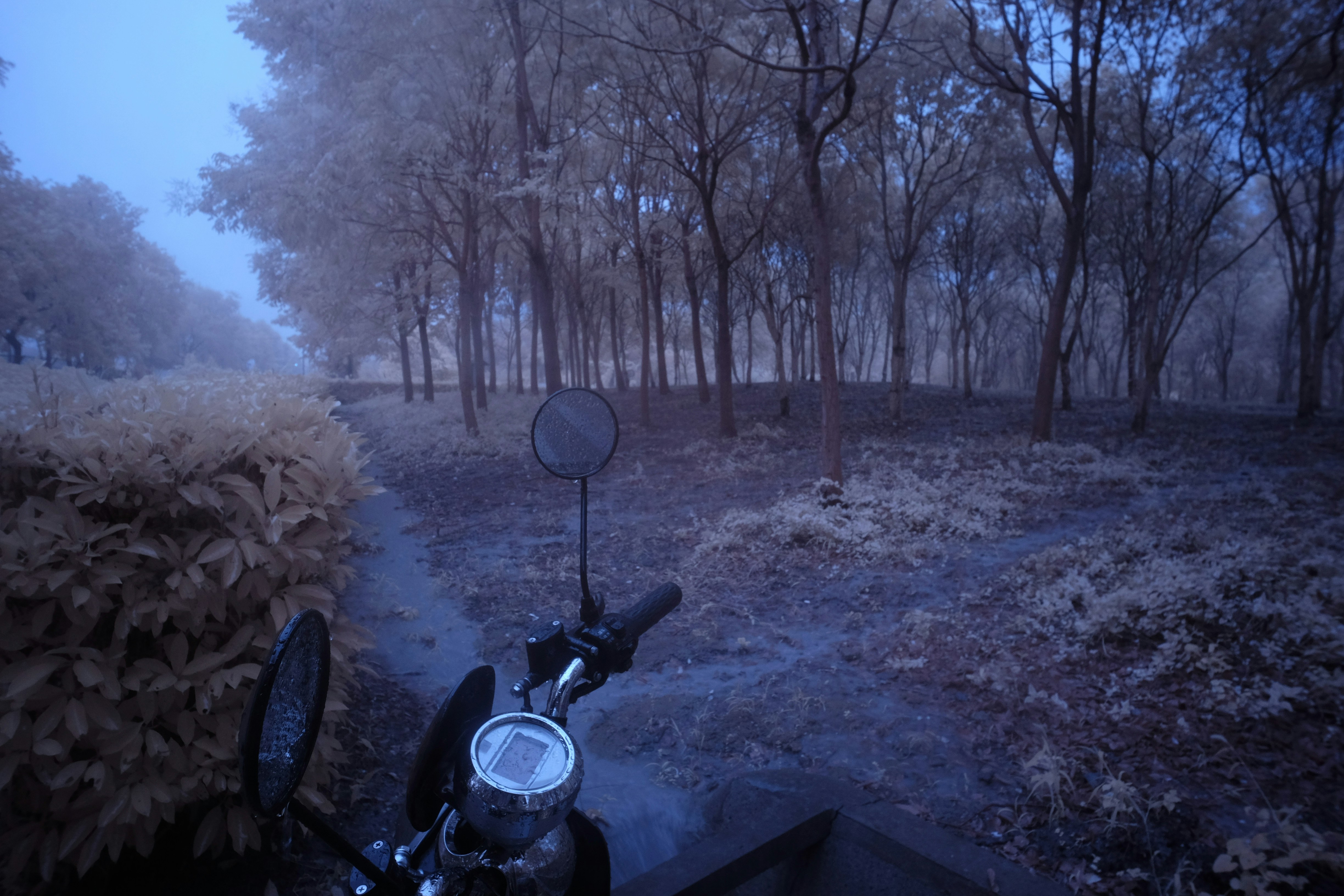 Blue Hour in the Quiet Park: Motorcycle at the Edge of Fog