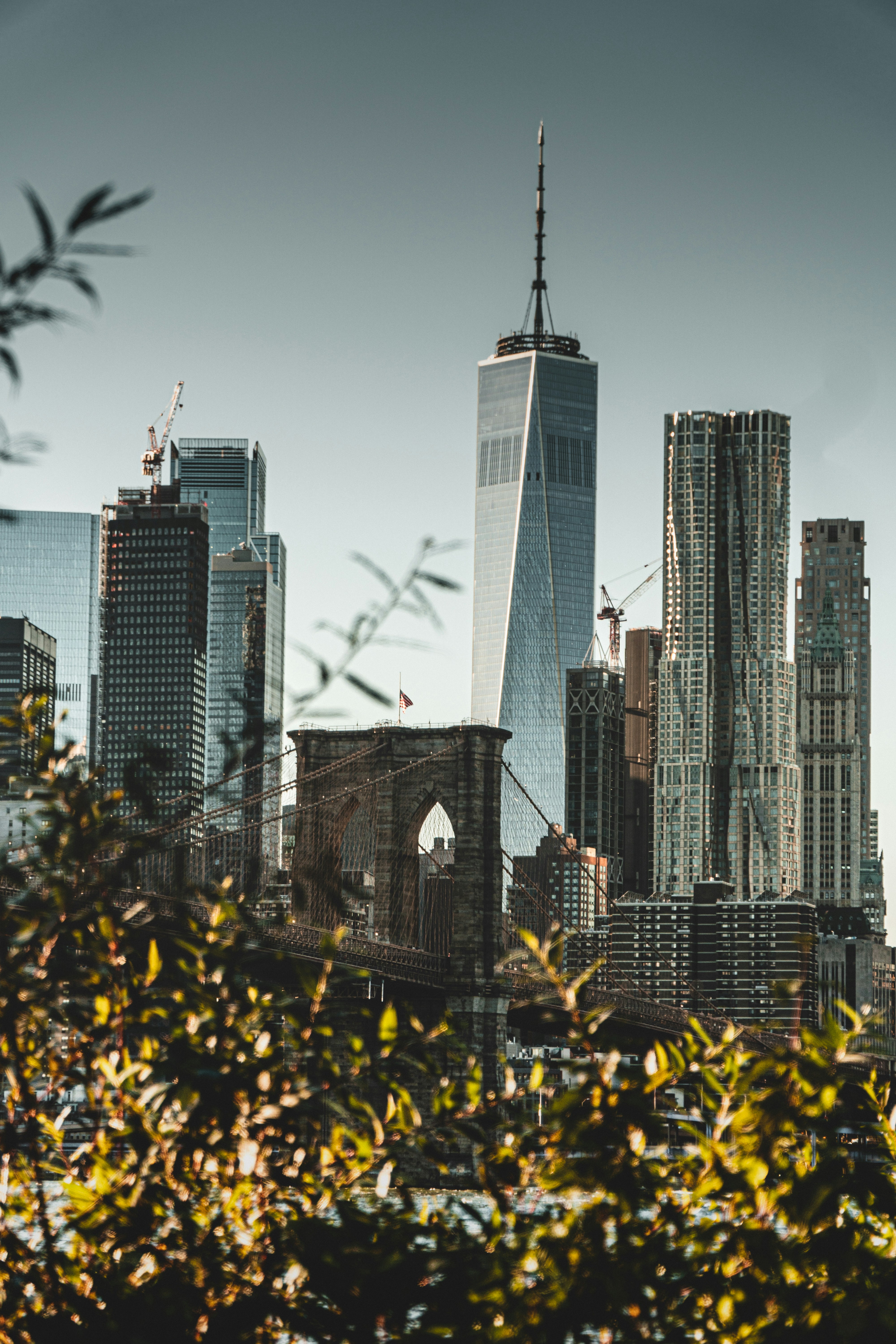 Brooklyn Bridge and towering skyscrapers of Manhattan framed by lush foliage. The scene captures the dynamic contrast between nature and urban architecture.