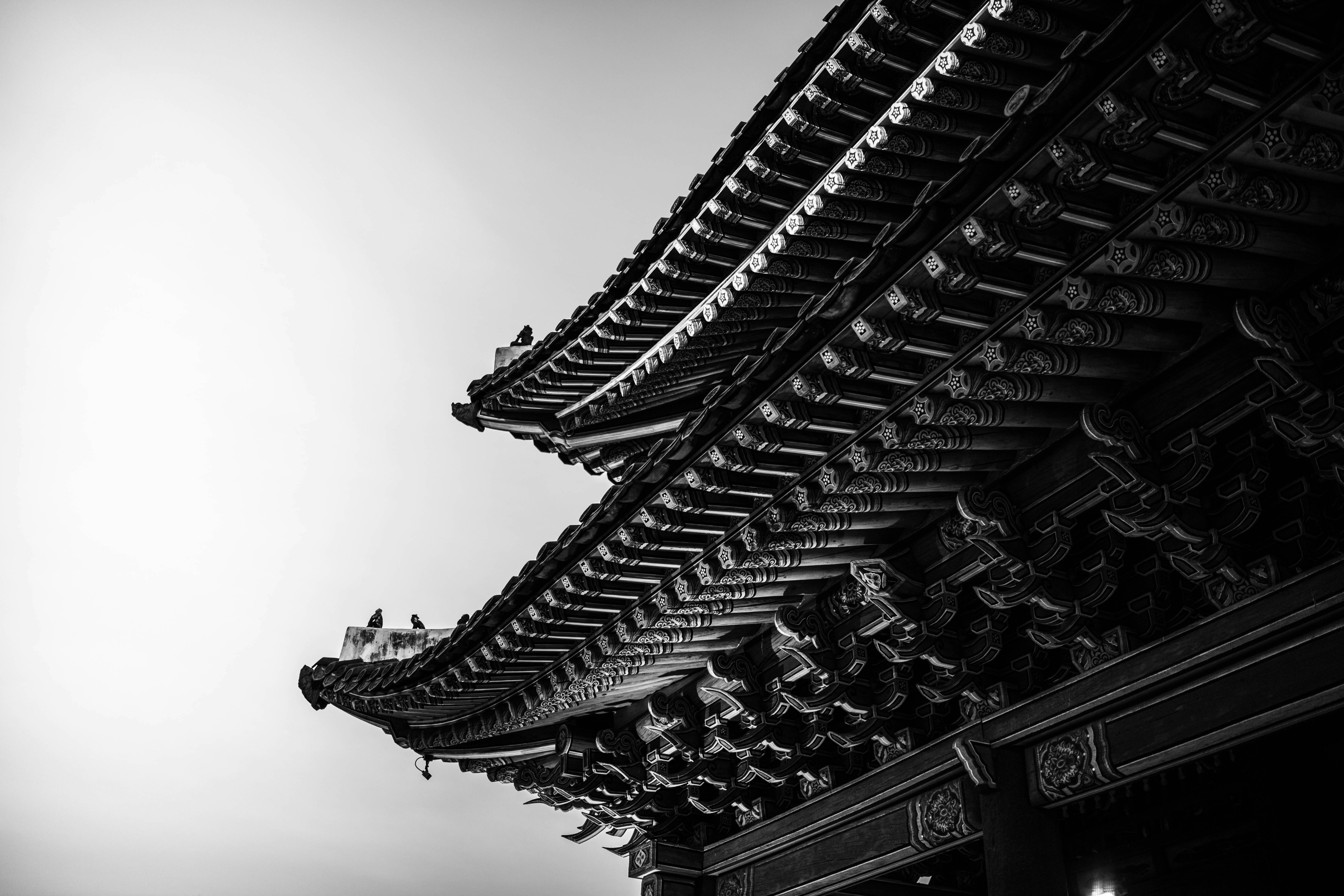 Intricate details of a traditional roof structure captured in black and white, highlighting the craftsmanship and historical significance of the architecture.