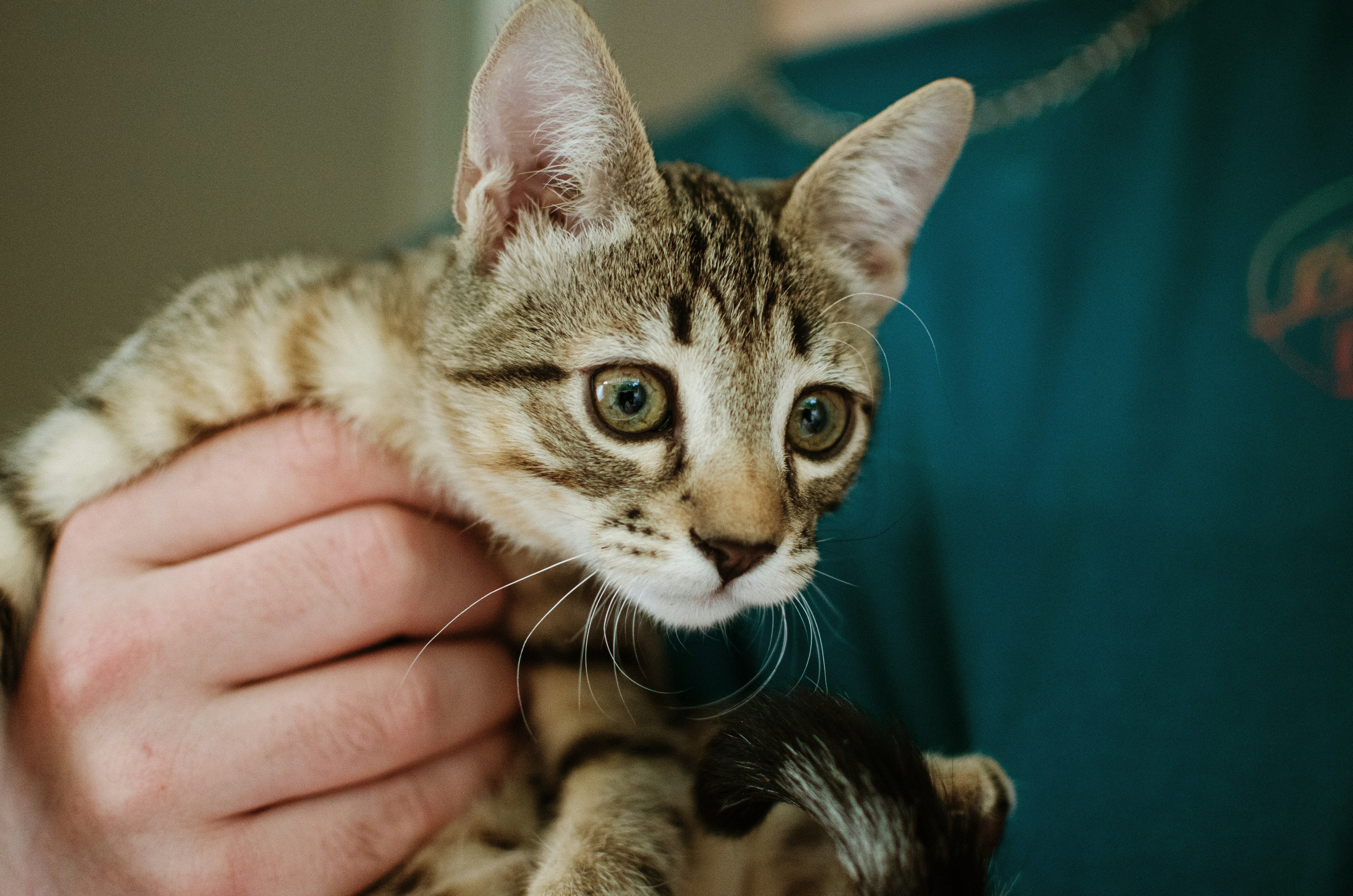 Laurene Gicquel (@indianashat) | Unsplash Photo Community