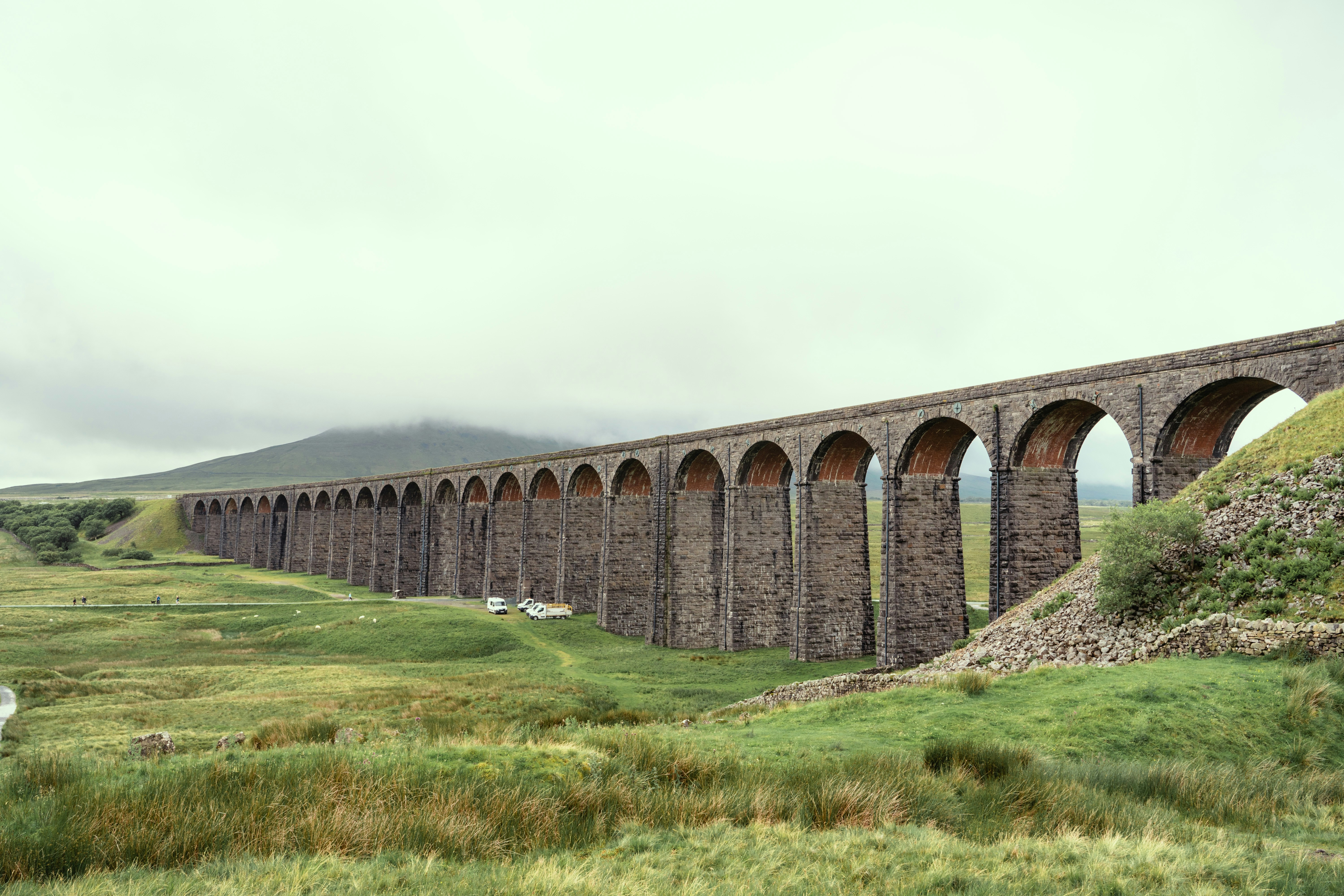 The Endless Arc Across the Green Moor