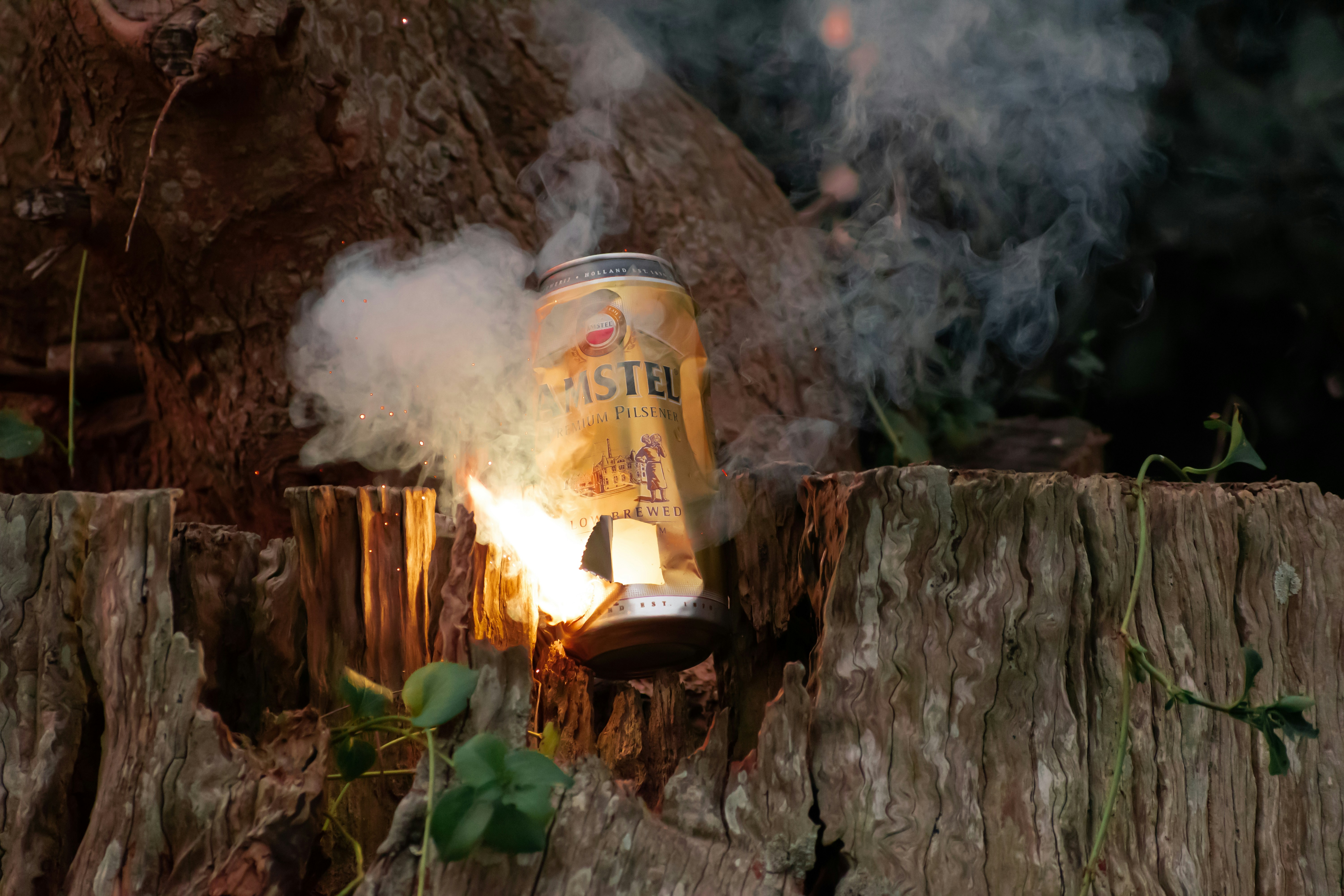 Can of Monster in a Timber Scene: Smoky Firework on Barked Trunk