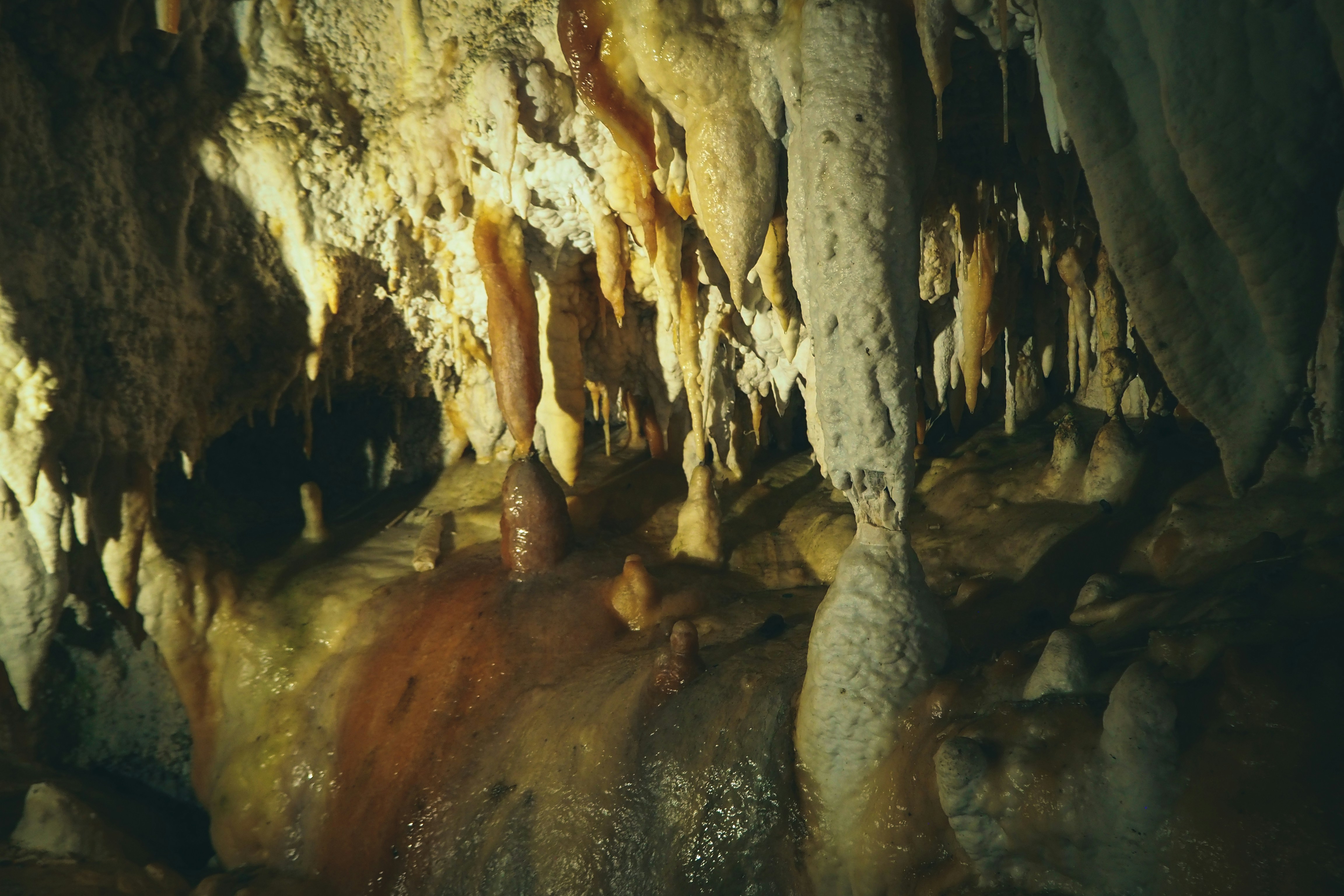 Intricate stalactites and stalagmites form a textured limestone canopy in a dimly lit cave.