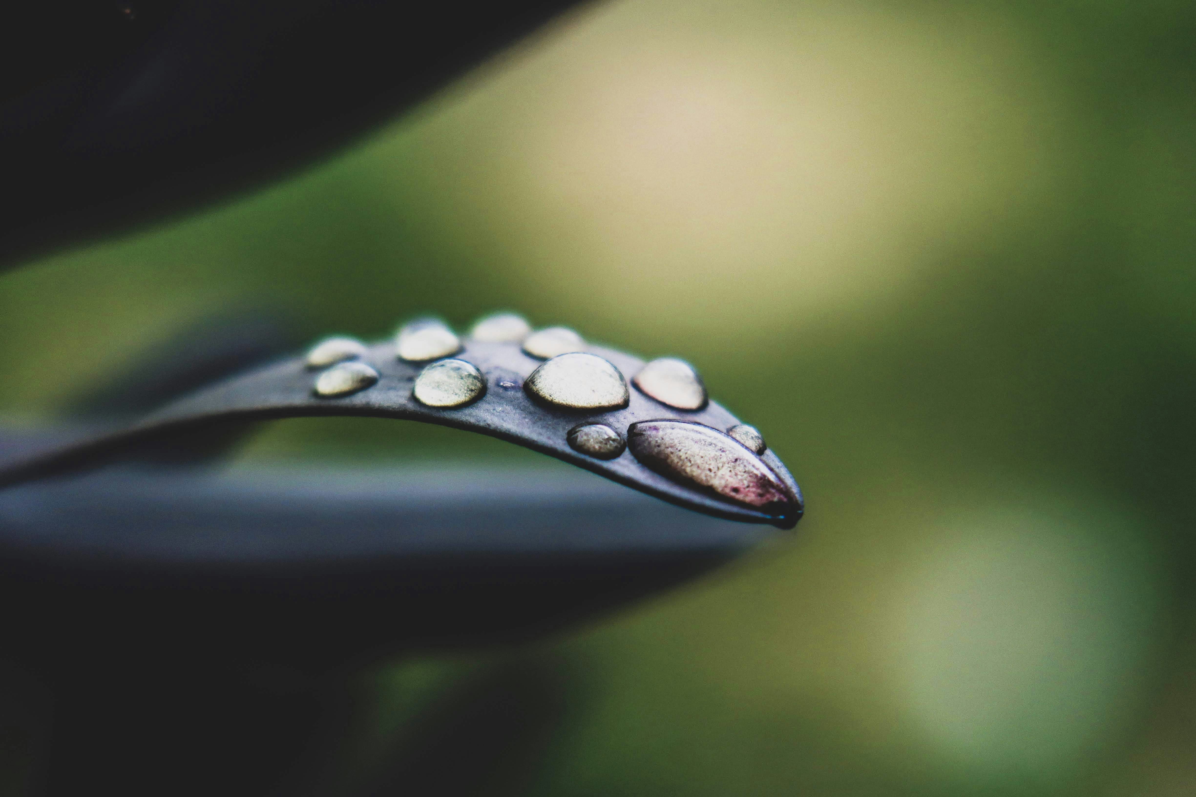 Id Photo Pictures | Download Free Images on Unsplash