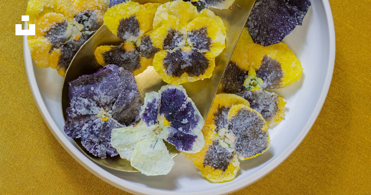 白い陶器の鉢に黄色と白の花の写真 Unsplashの皿の無料画像