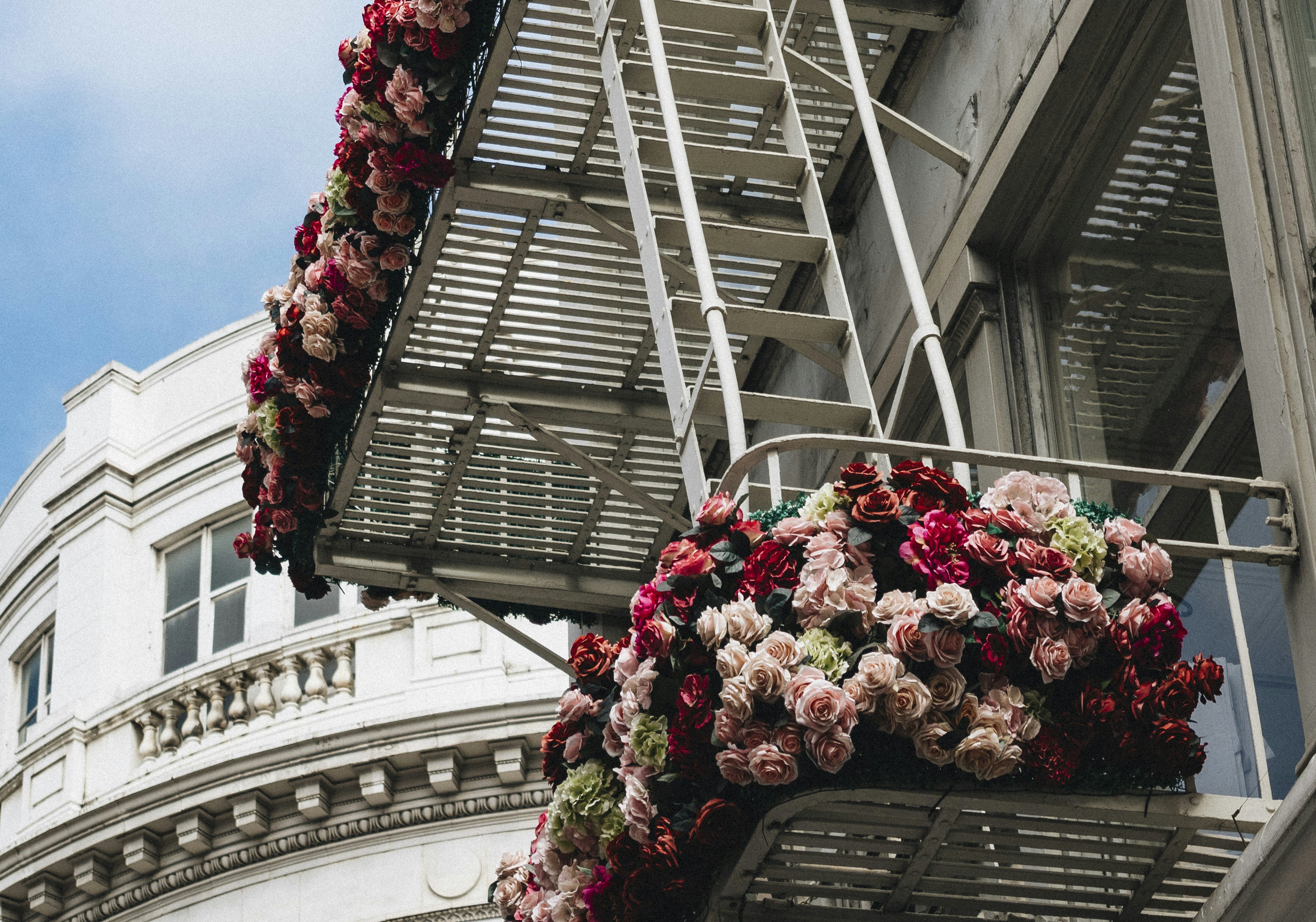 Facade in Bloom: Fireworks of Roses along a Historic Balcony