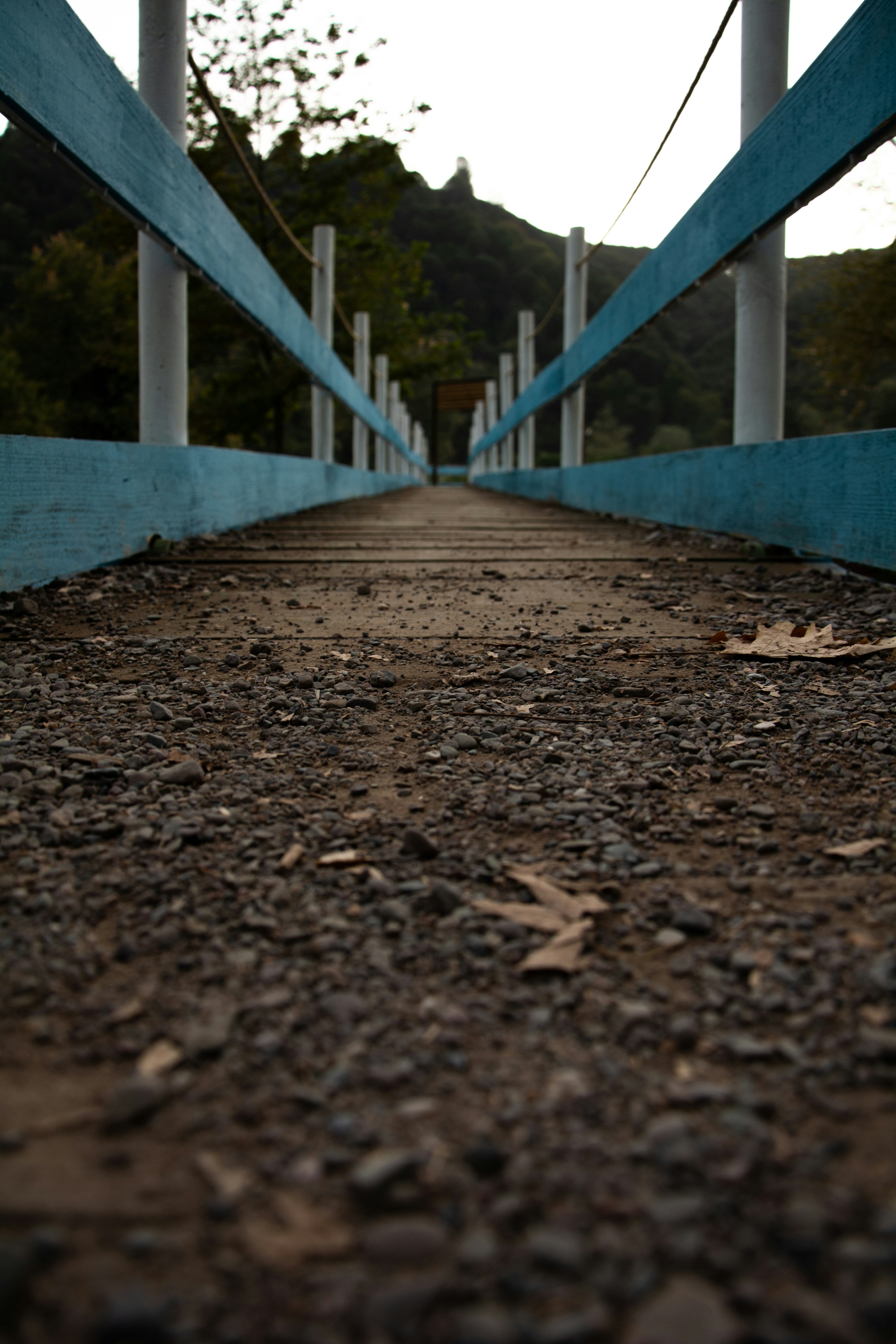 white wooden bridge over blue sea during daytime