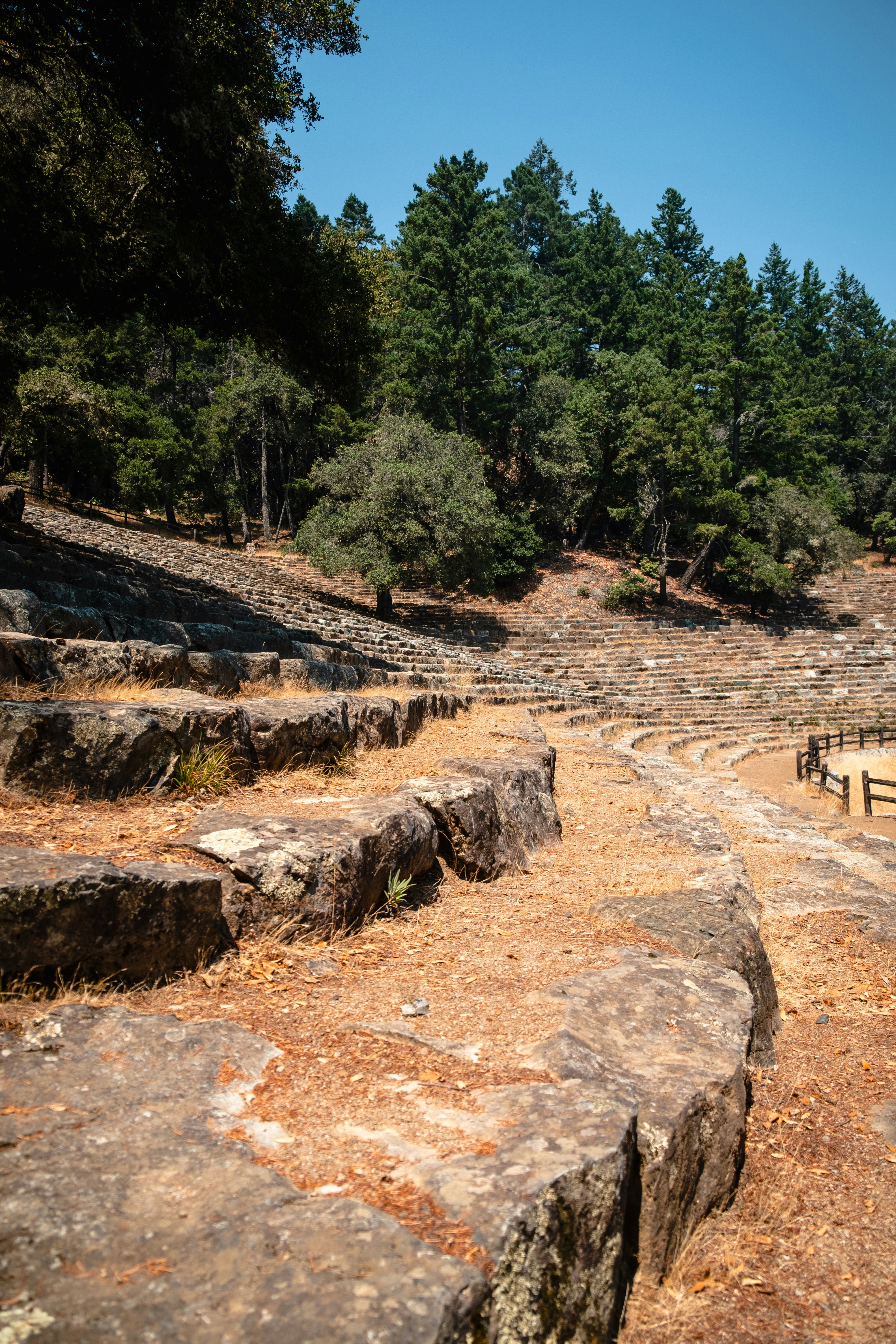 Worn stone steps lead through a serene landscape of lush trees and clear blue skies, evoking a sense of history and tranquility.