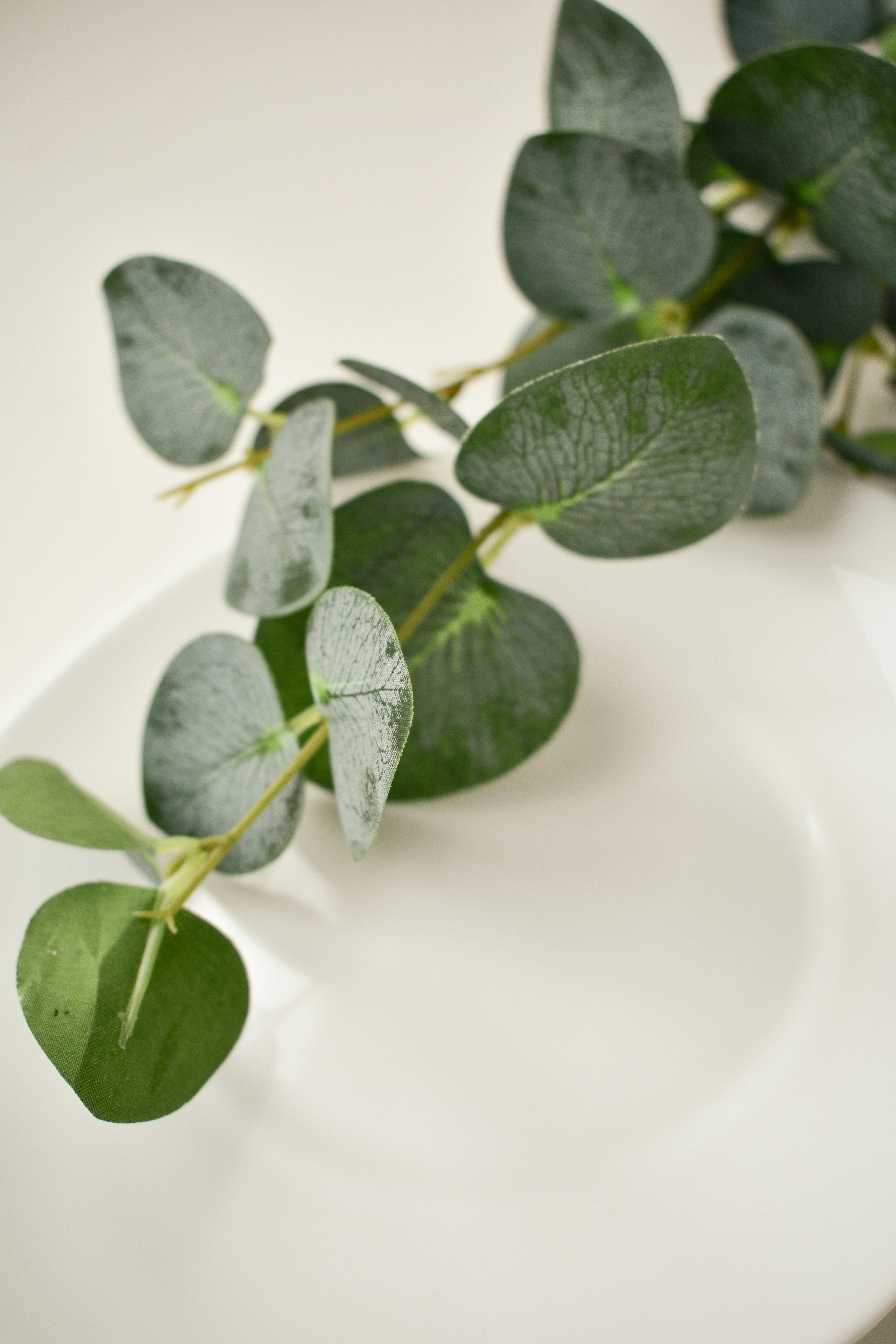 Elegance in Green: A Culinary Touch