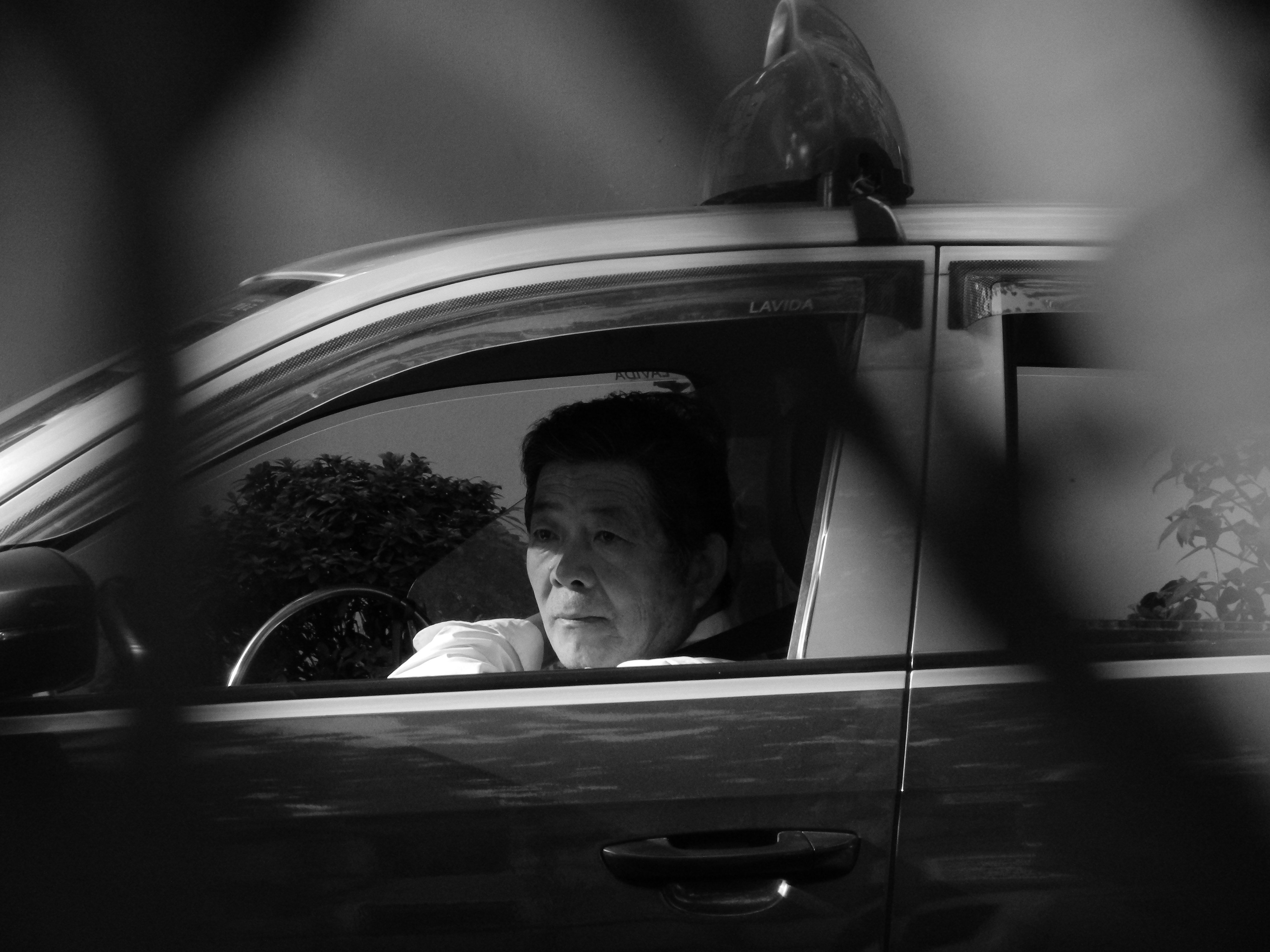 Woman in a Car: Quiet Contemplation Through the Window