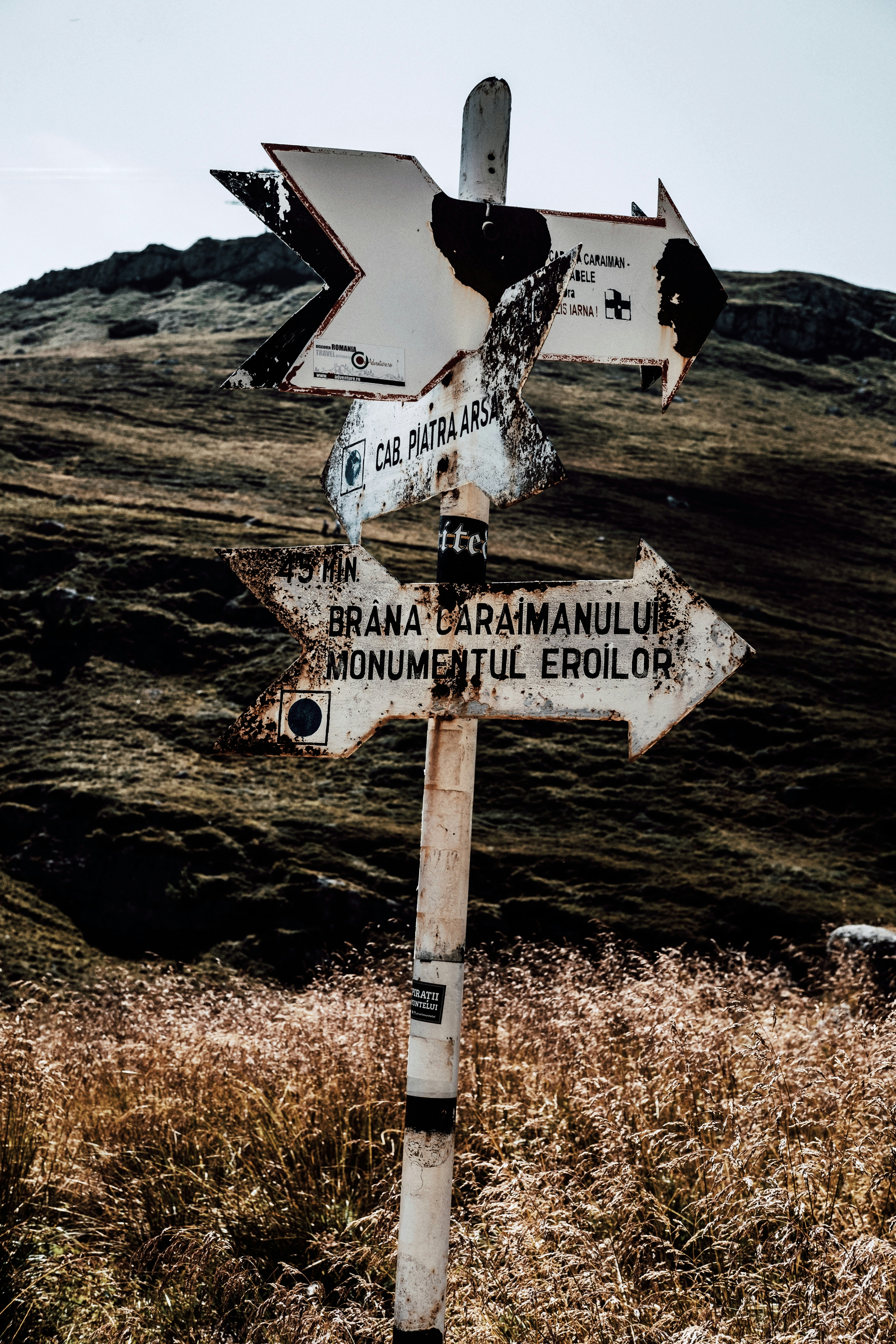 Weathered Hitchhiker: A Signpost of Distant Monuments in a Windswept Field