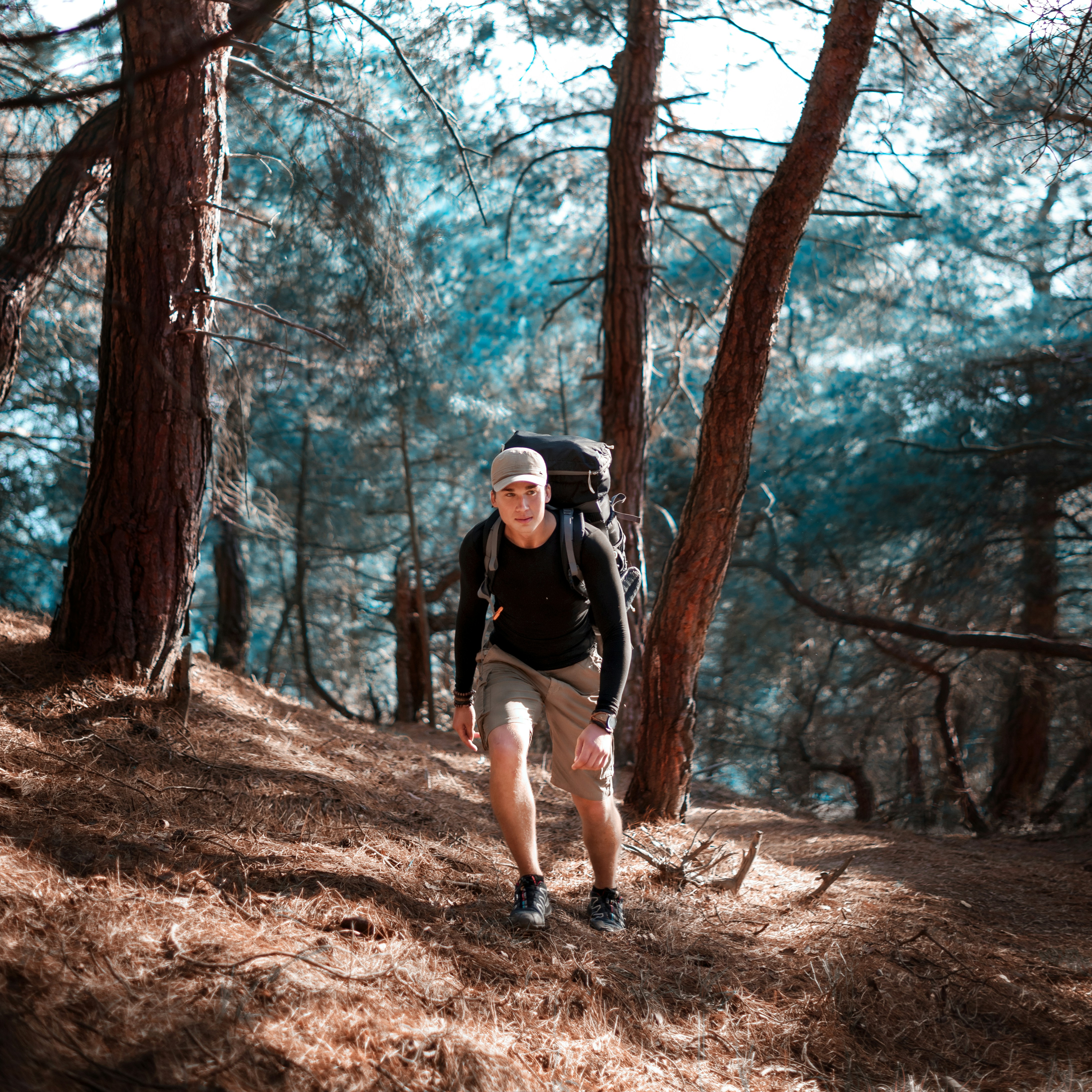 Hiker navigating a sun-dappled forest path, surrounded by tall trees and earthy tones.