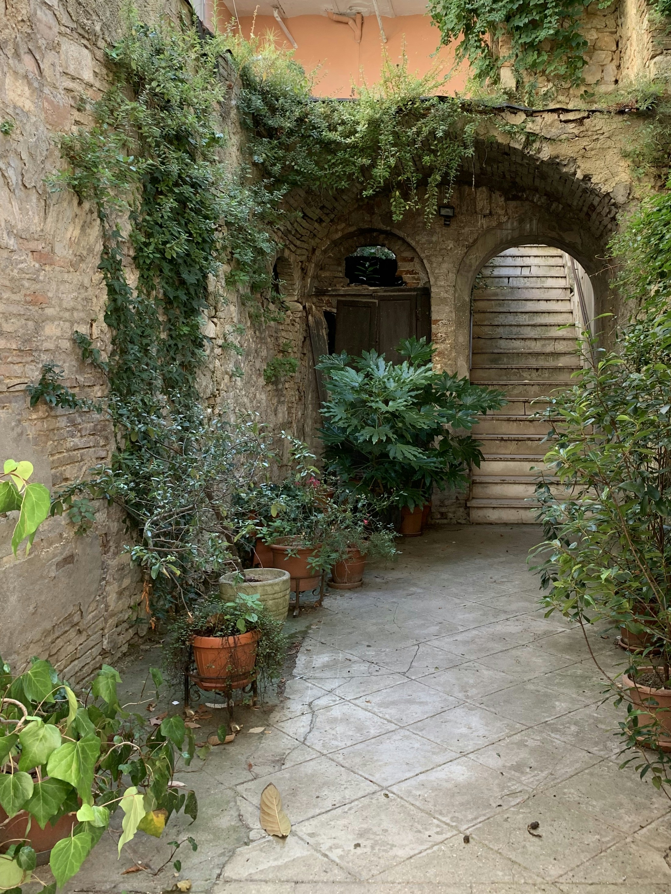 Stone archway adorned with lush greenery and potted plants leading to a staircase.