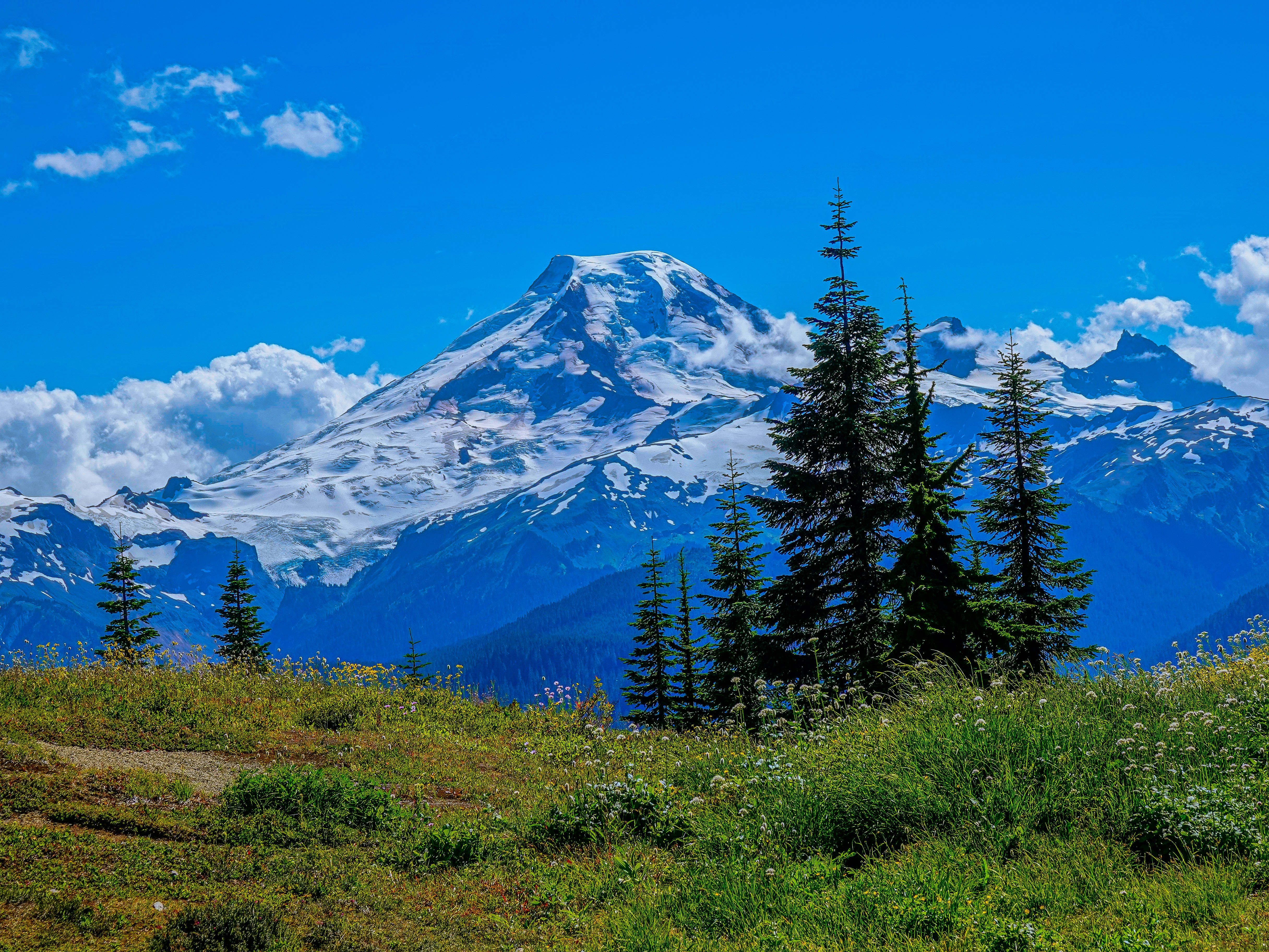 Snow-capped mountain towering over lush greenery and coniferous trees under a bright blue sky with fluffy clouds.
