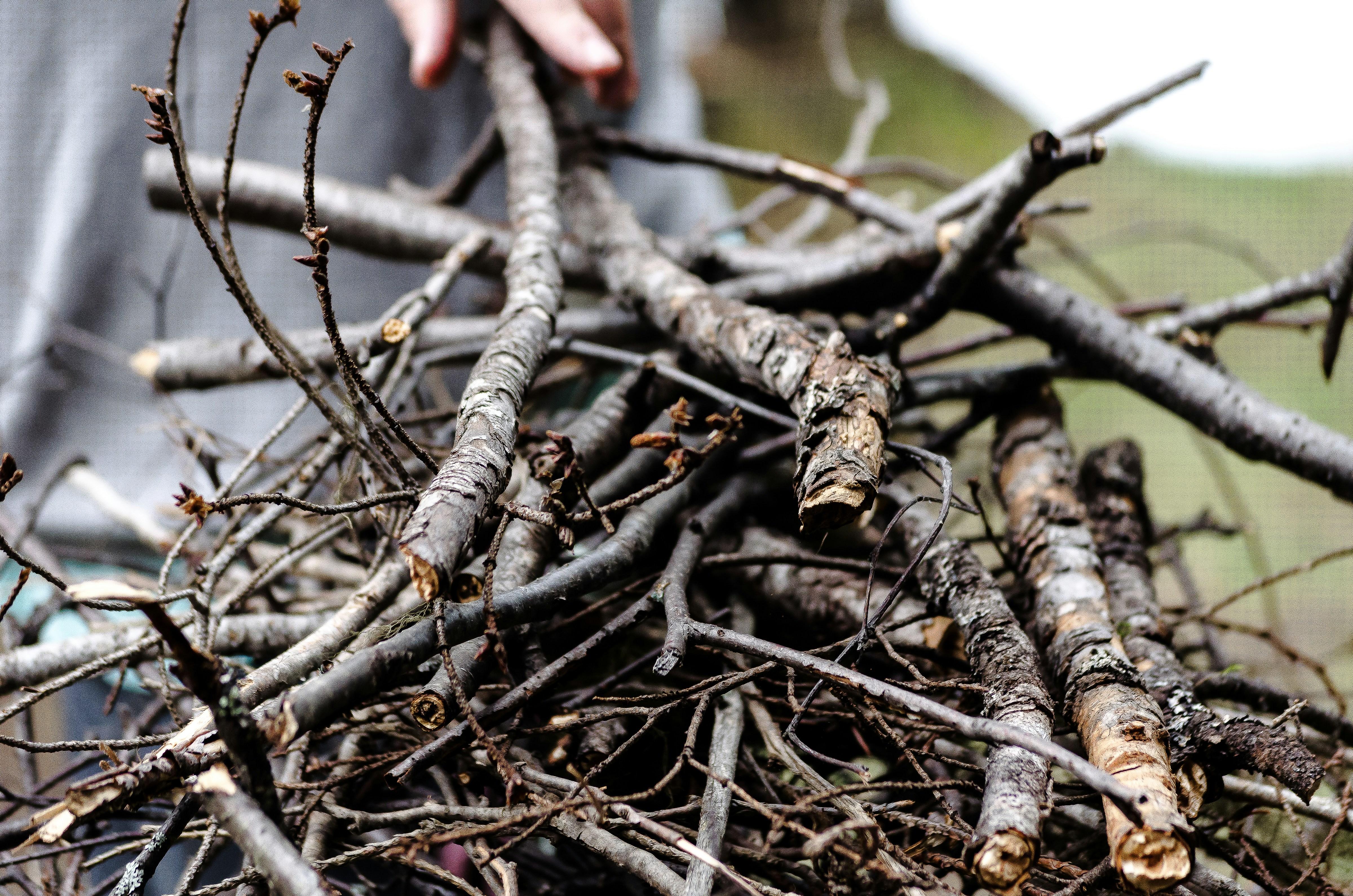 Tangled Branches: A Tangle of Wood and Hands