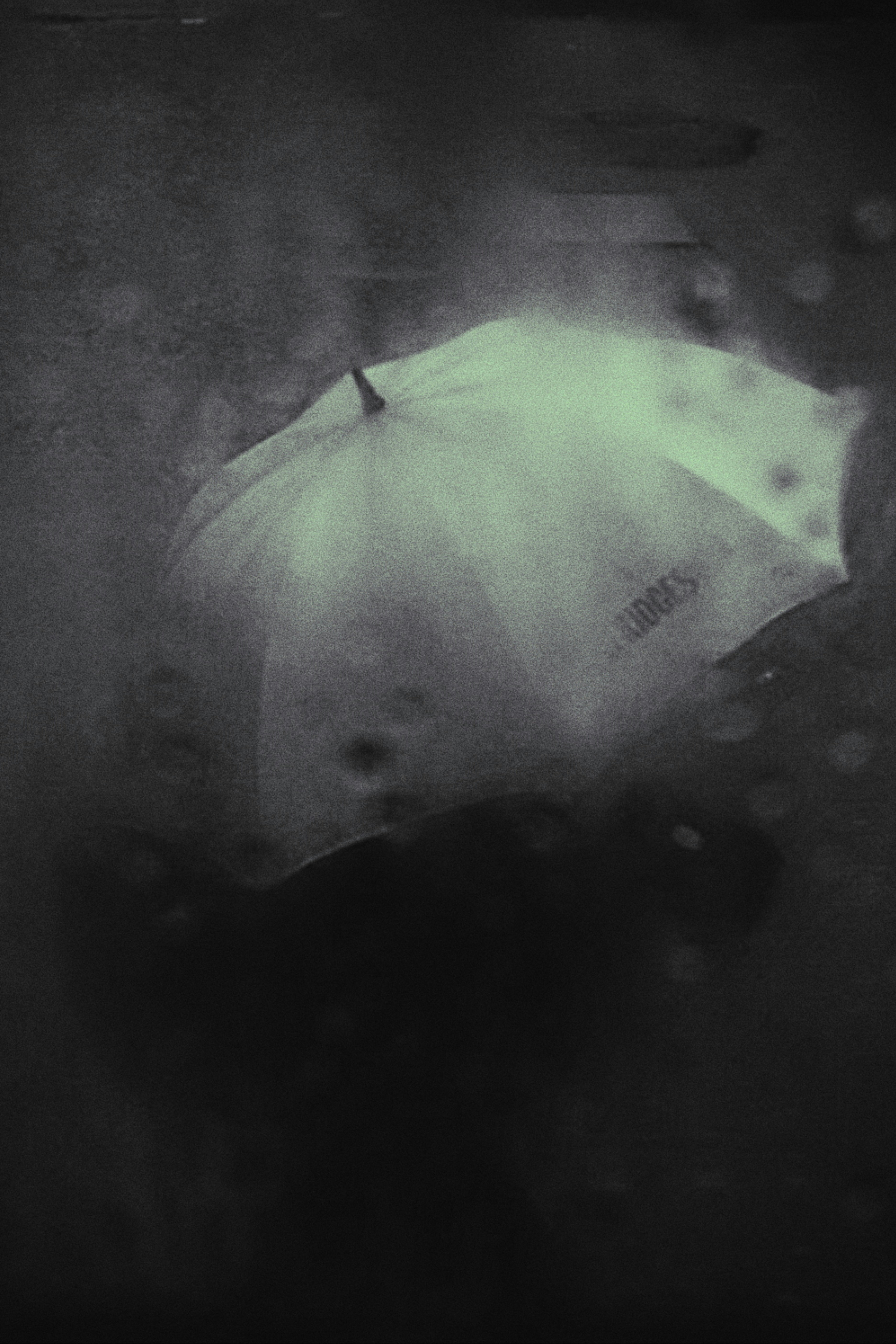 Umbrella Under Moonlight: A Quiet Night in Rain