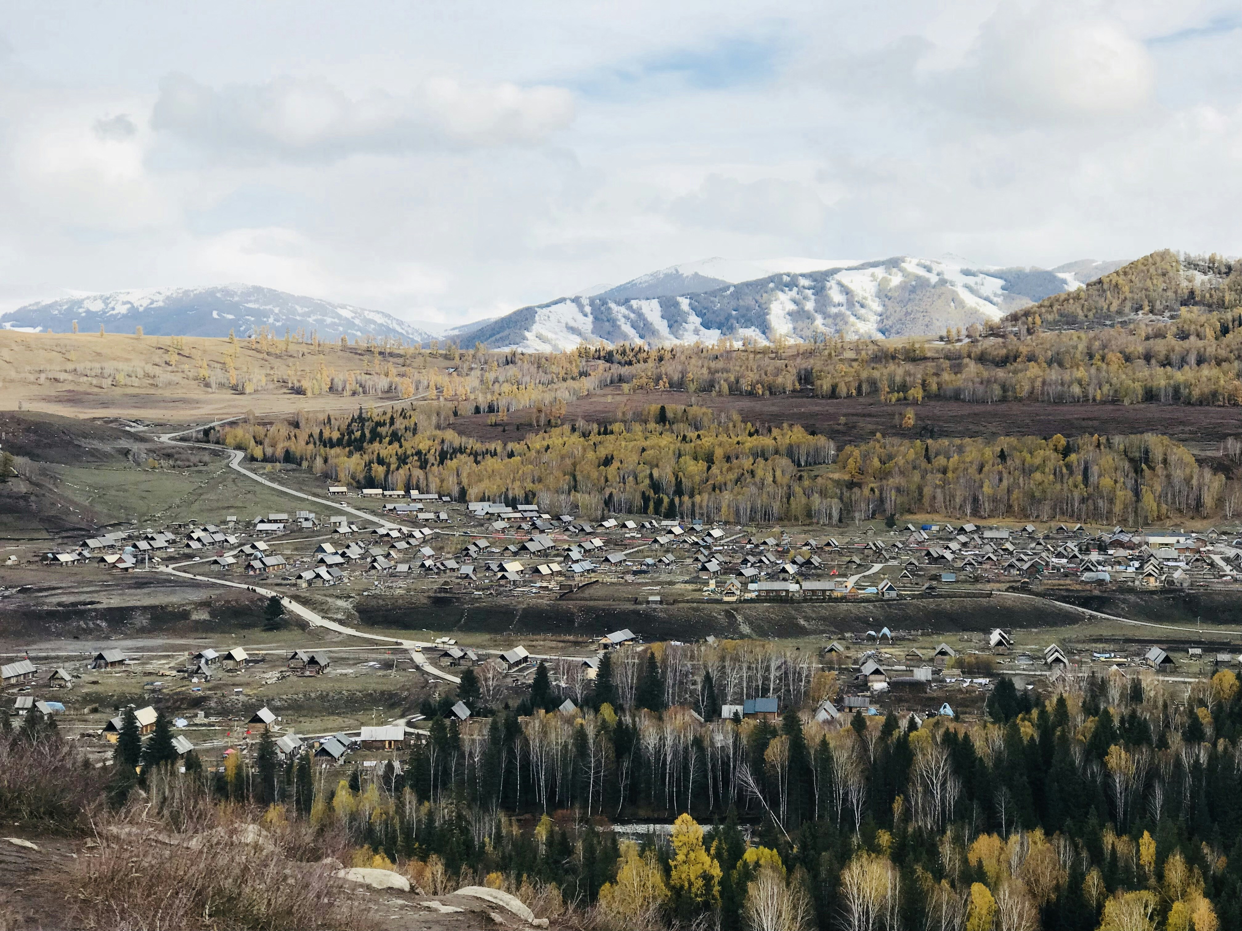 Valley of Gold and Frost: Autumn Quiet Beneath Snowbound Peaks