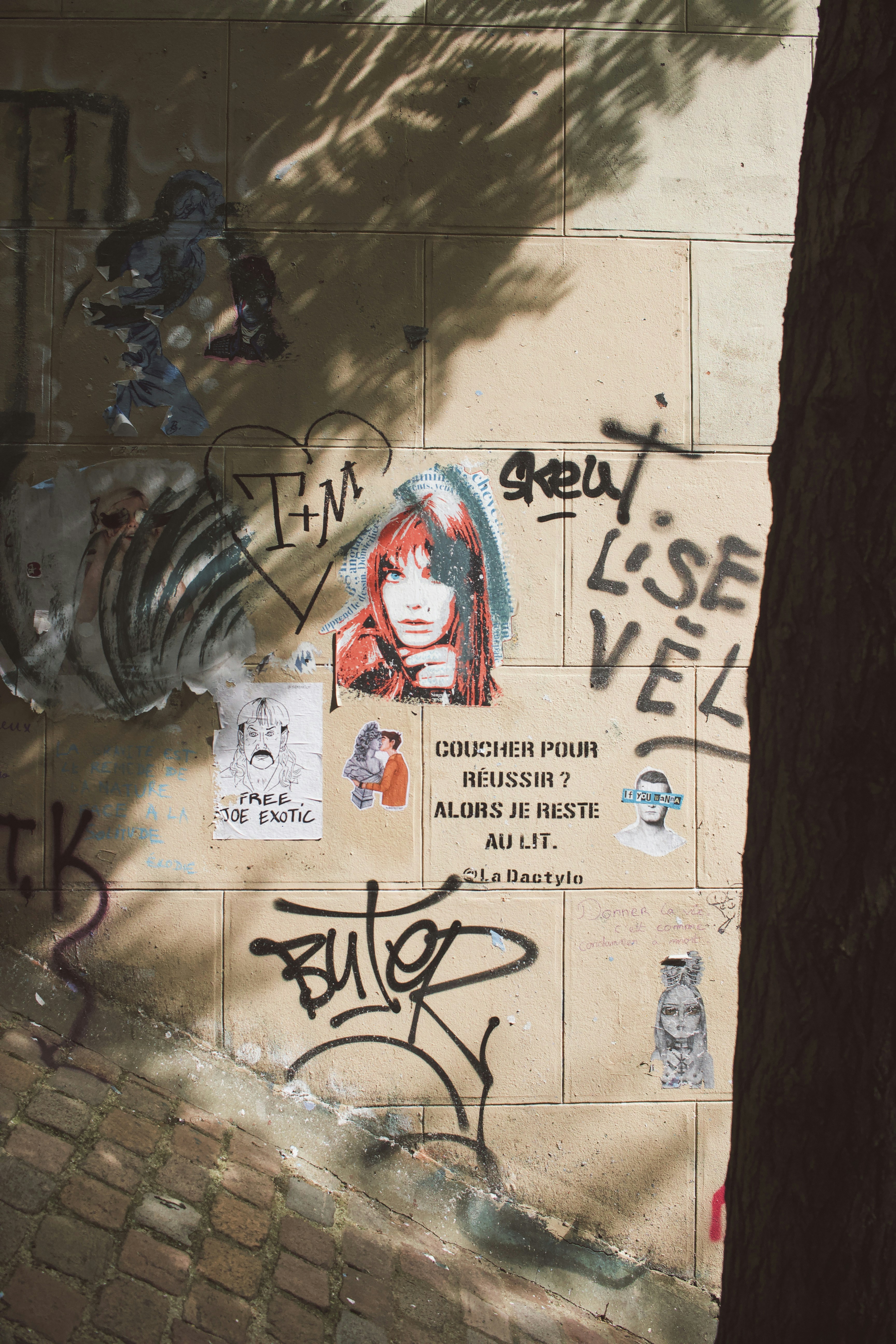 Joe Exotique Photos | Télécharger des images gratuites sur Unsplash