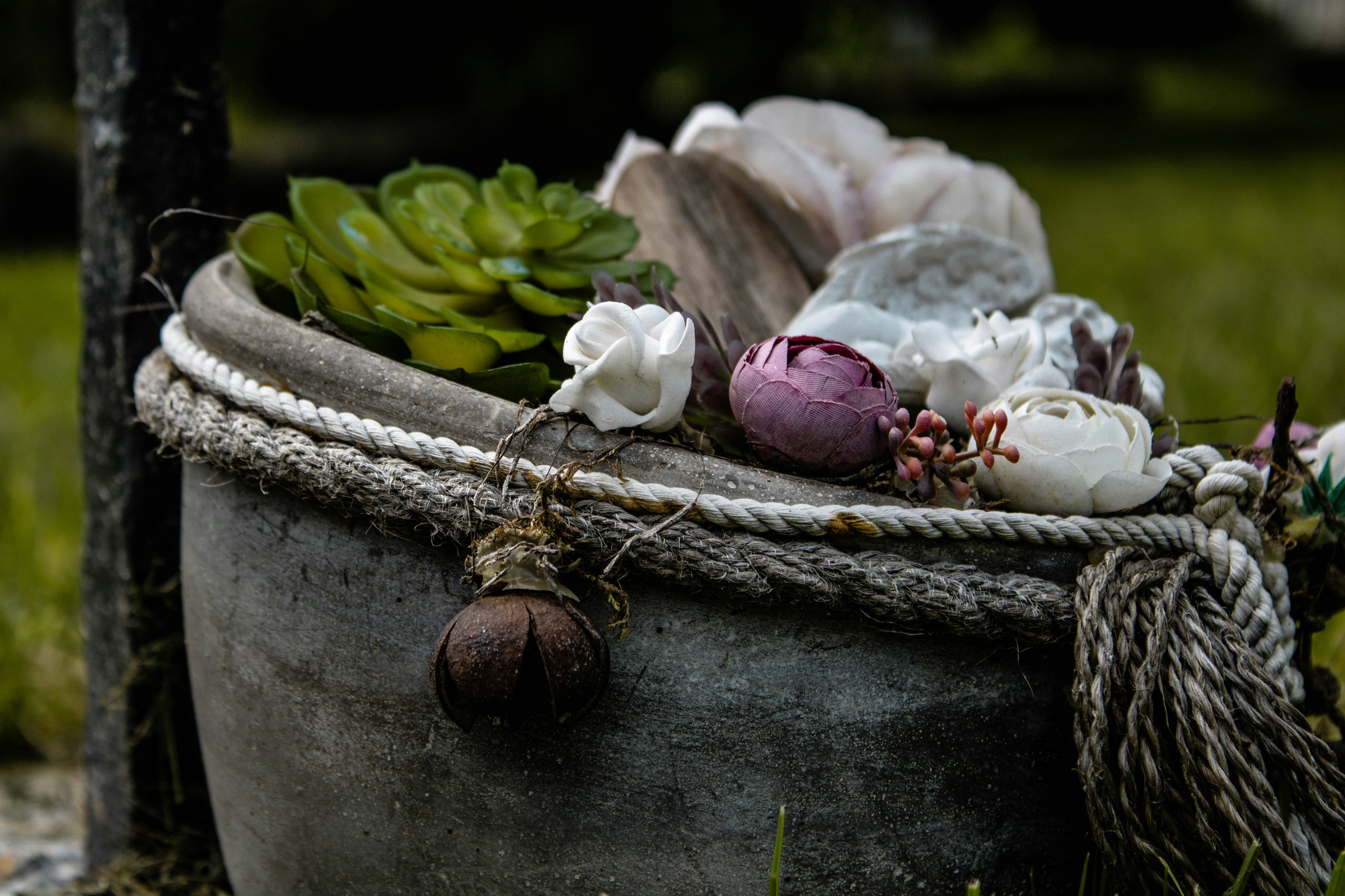Weathered tub still life: succulents, rope, and fading blossoms