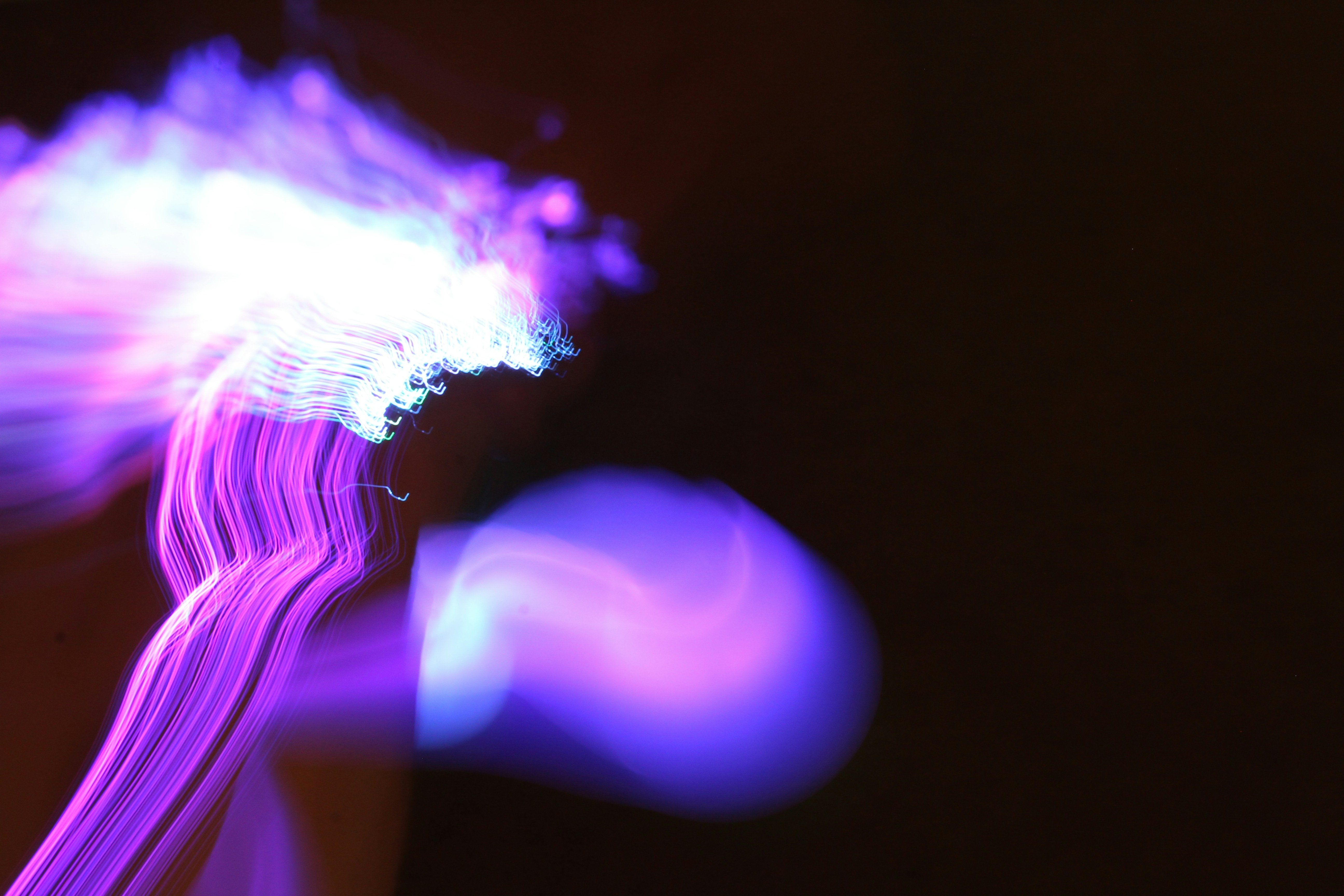 Neon Whispers: A Bloom of Purple Light in Motion