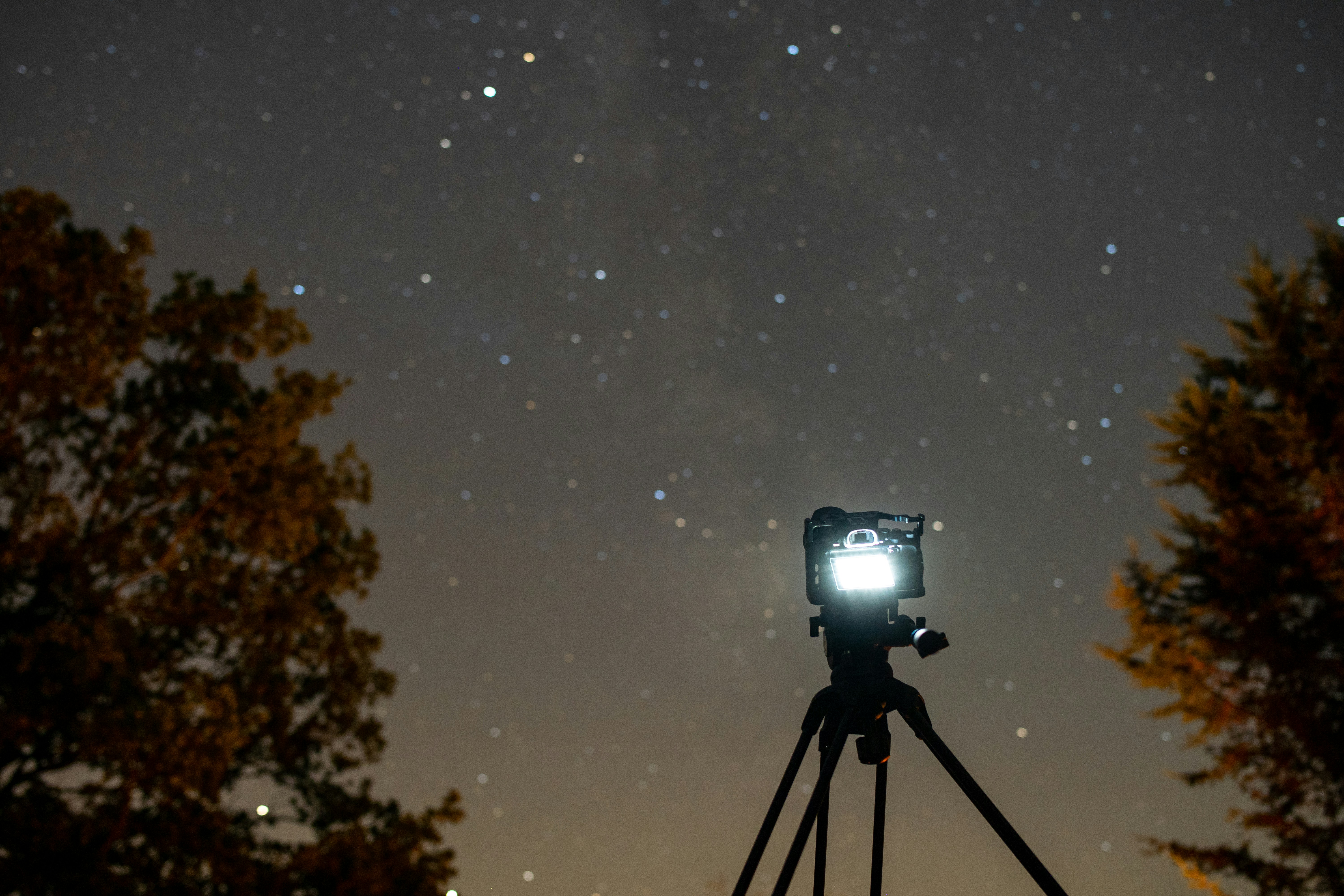 Black camera with tripod during night time photo – Free Space Image on ...