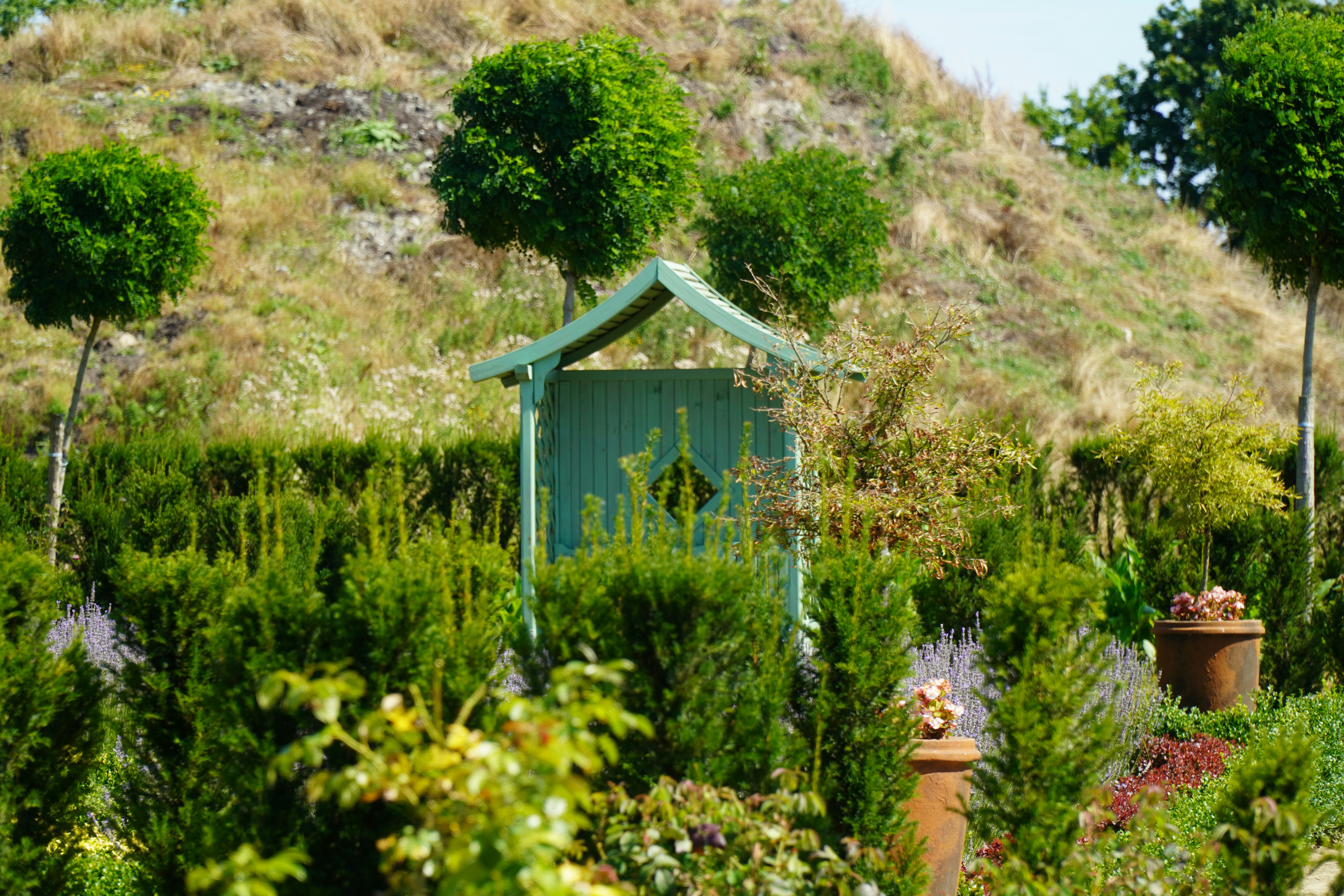 Casa de madera azul rodeada de plantas verdes foto – Imagen de Ogrody ...