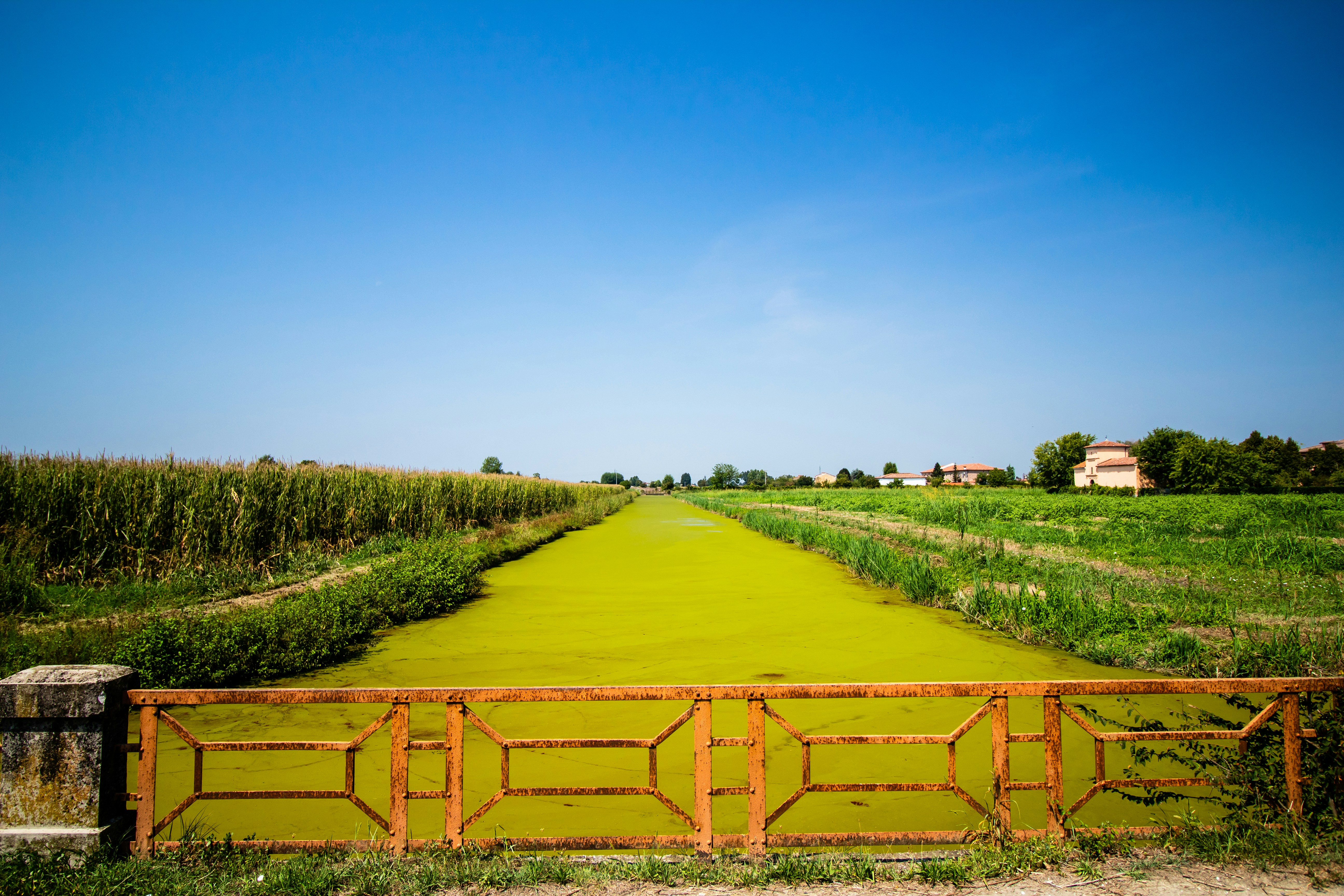 The Green Waterway: Rusted Gate Framing a Rural Corridor