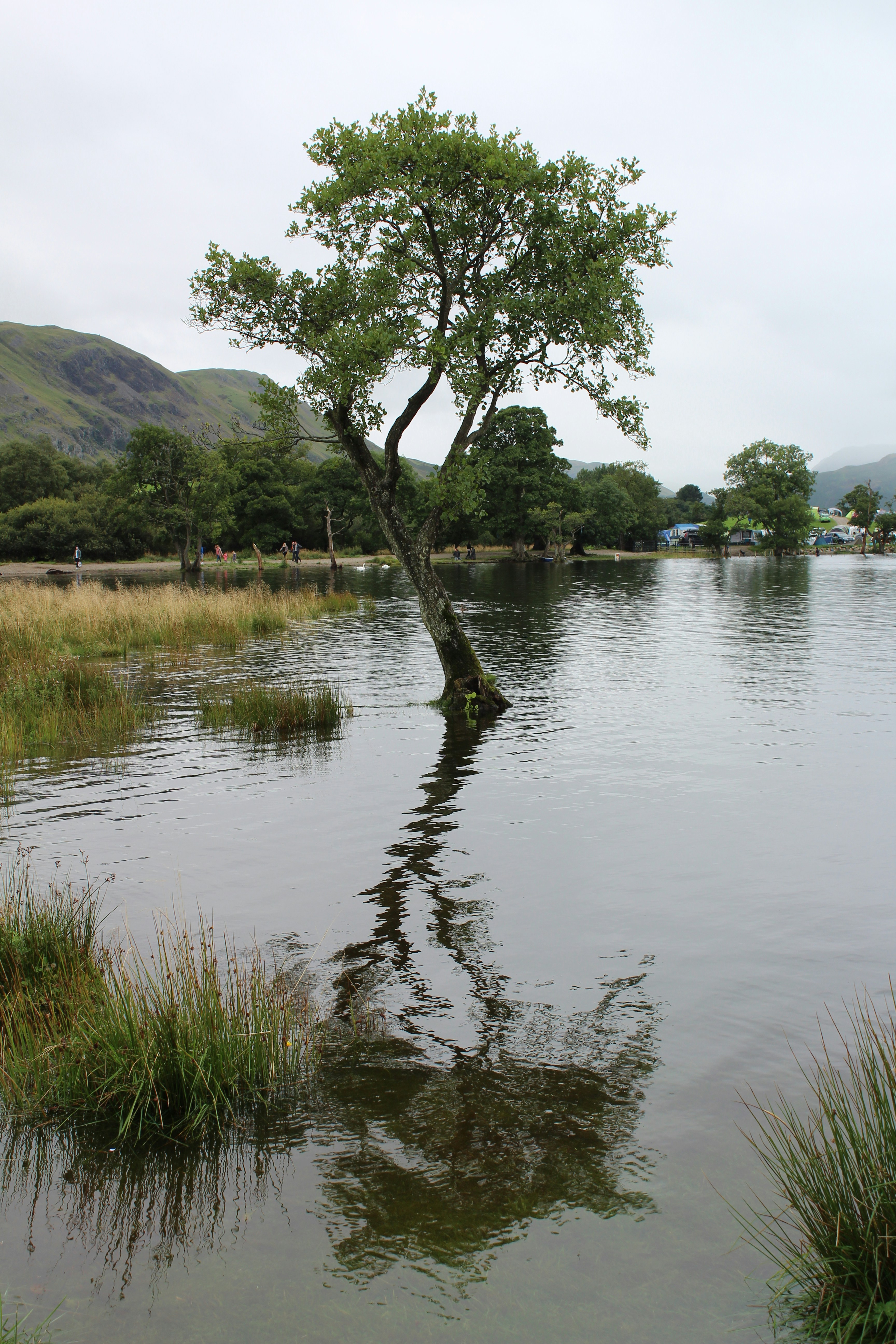 Green grass and trees near lake during daytime photo – Free Reflection ...