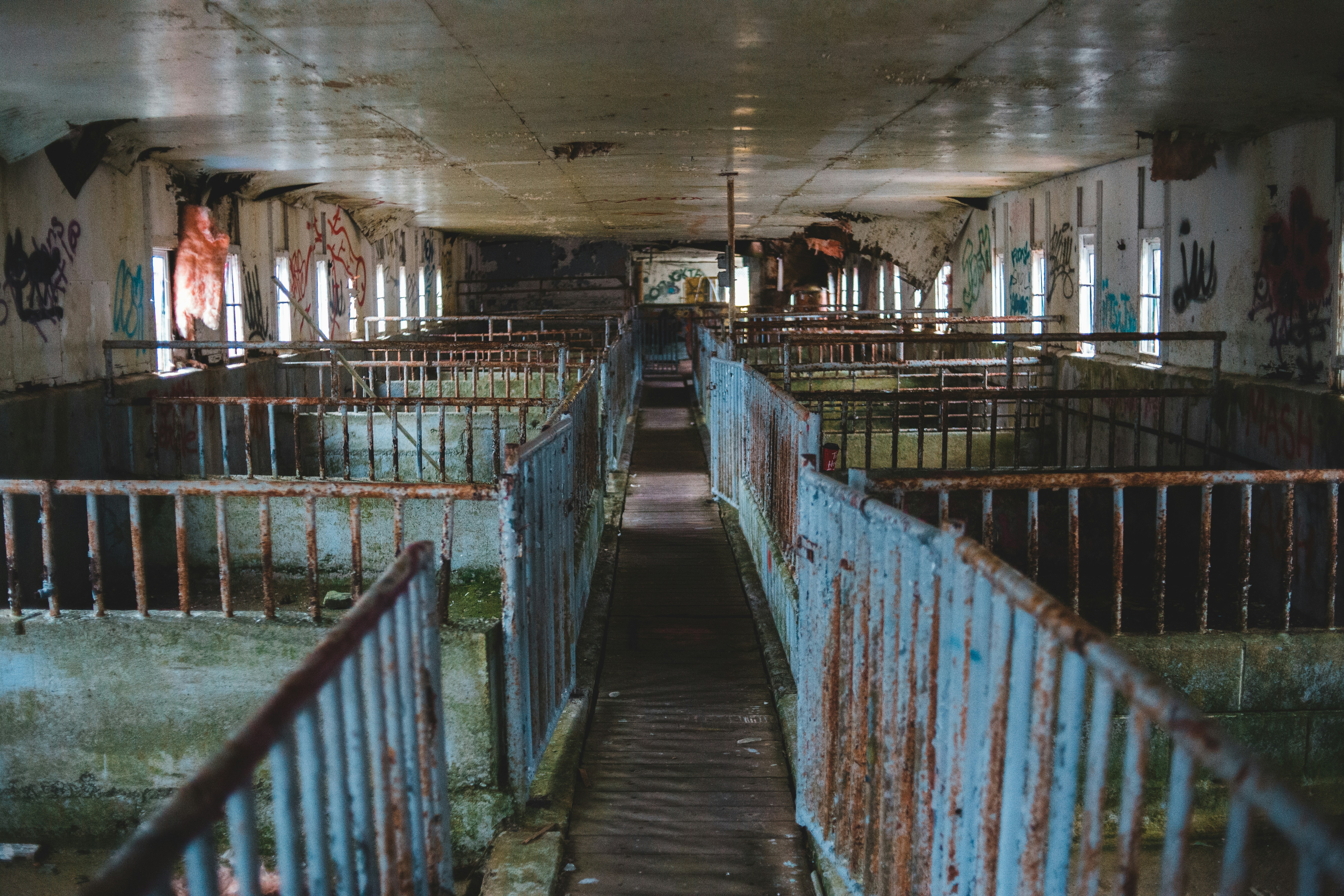 Midnight Rails: A Graffiti-Laced Corridor of Decay