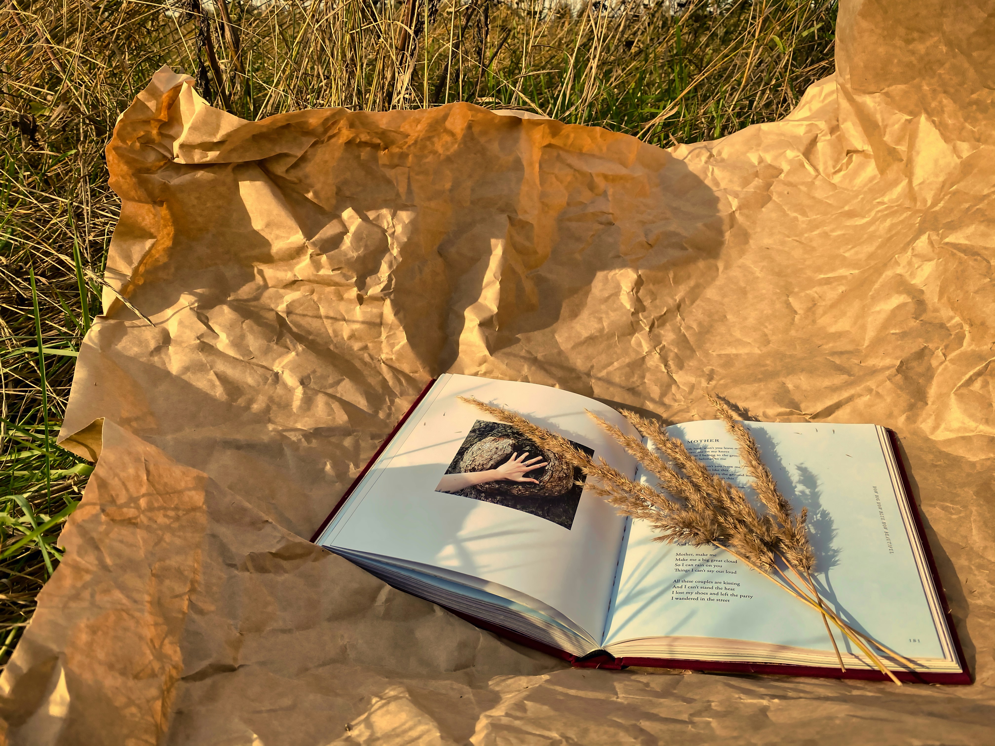 Golden Hour Pages: A Quiet Still Life with Wheat and Open Book