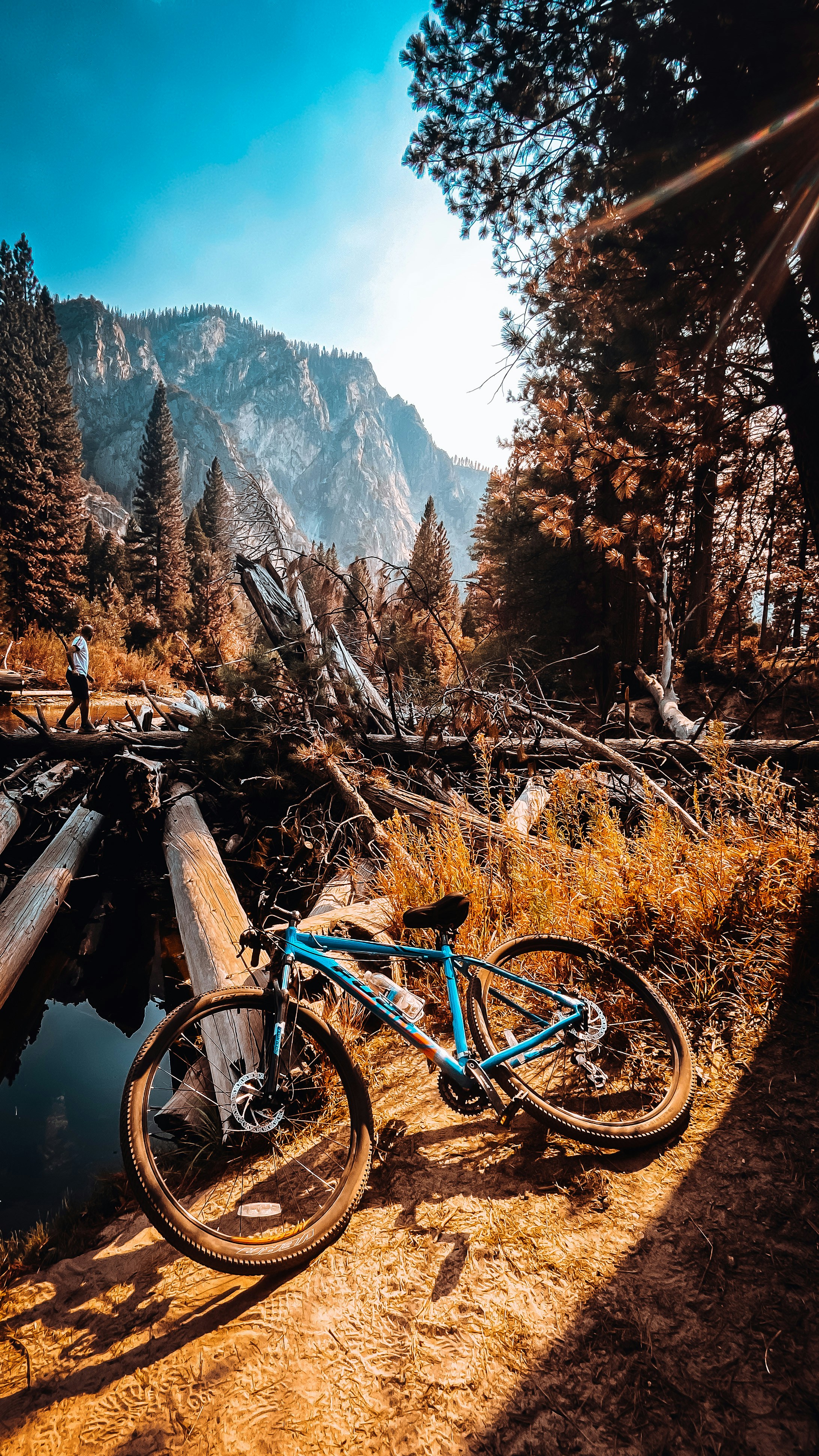 Blue Mountain Bike on a Sunlit Riverbank, Framed by Pines and Peaks