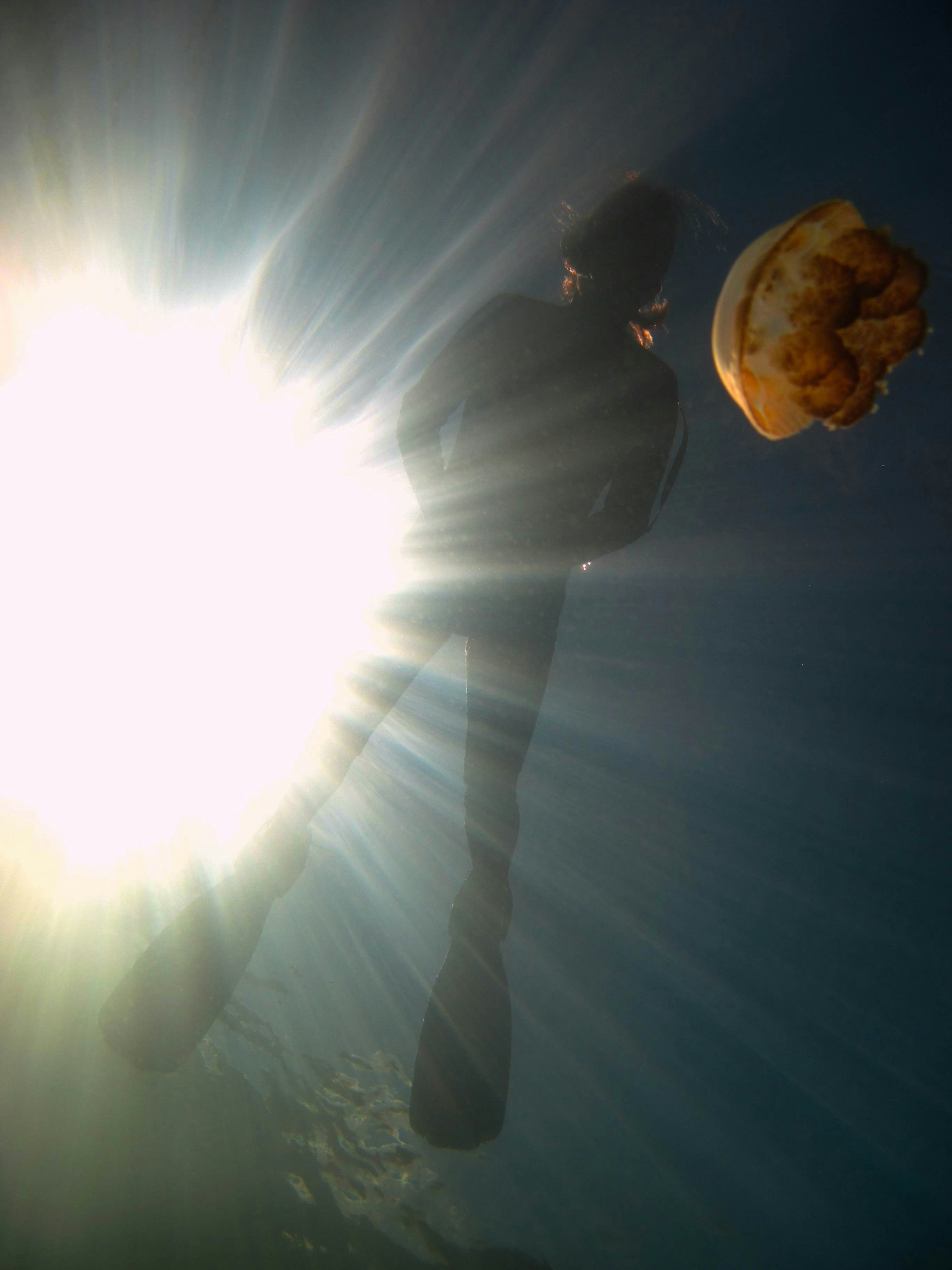 Sunburst Silhouette: Underwater Diver Meets a Fiery Drifting Form
