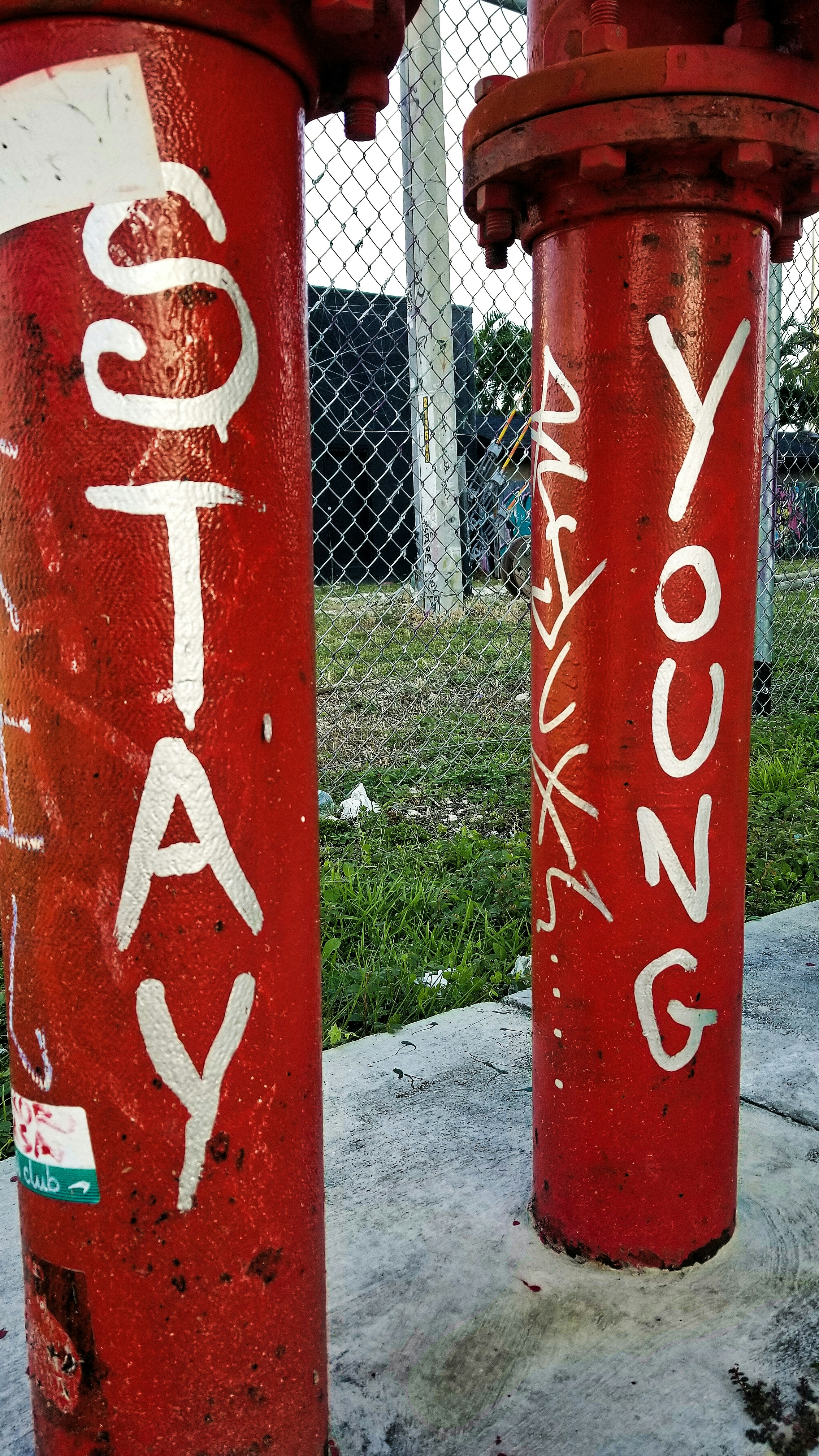 Echoes of Urban Expression