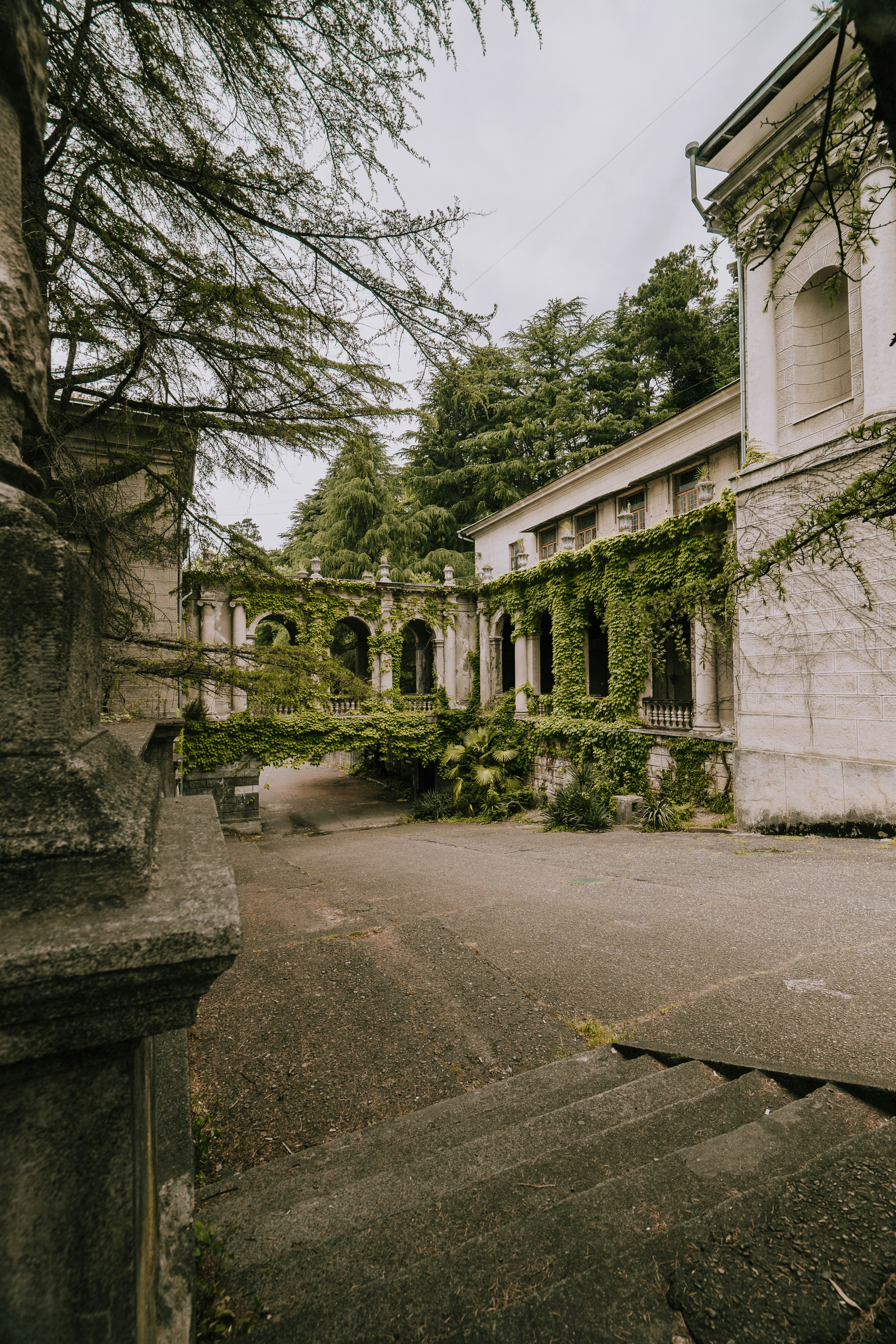 Overgrown ruins showcasing intricate stonework and lush greenery, evoking a sense of history and nature's reclamation.