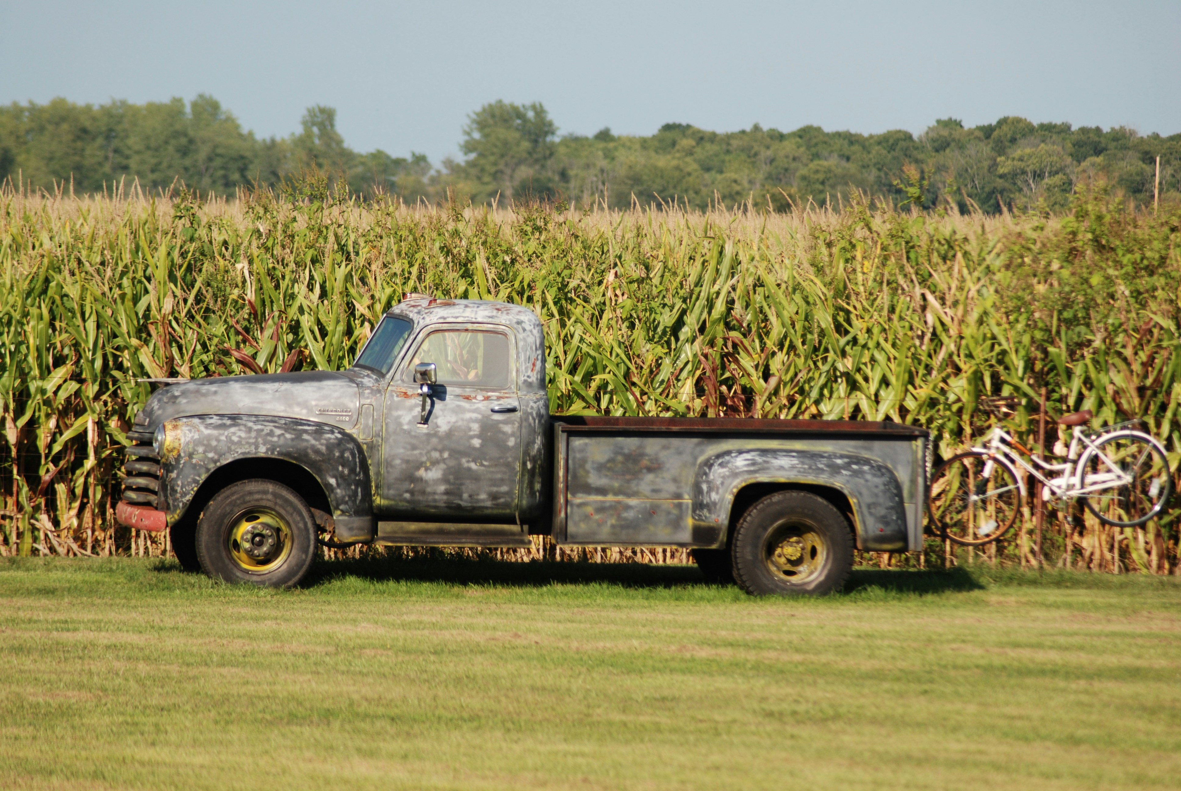 Black single cab pickup truck on green grass field during daytime photo ...