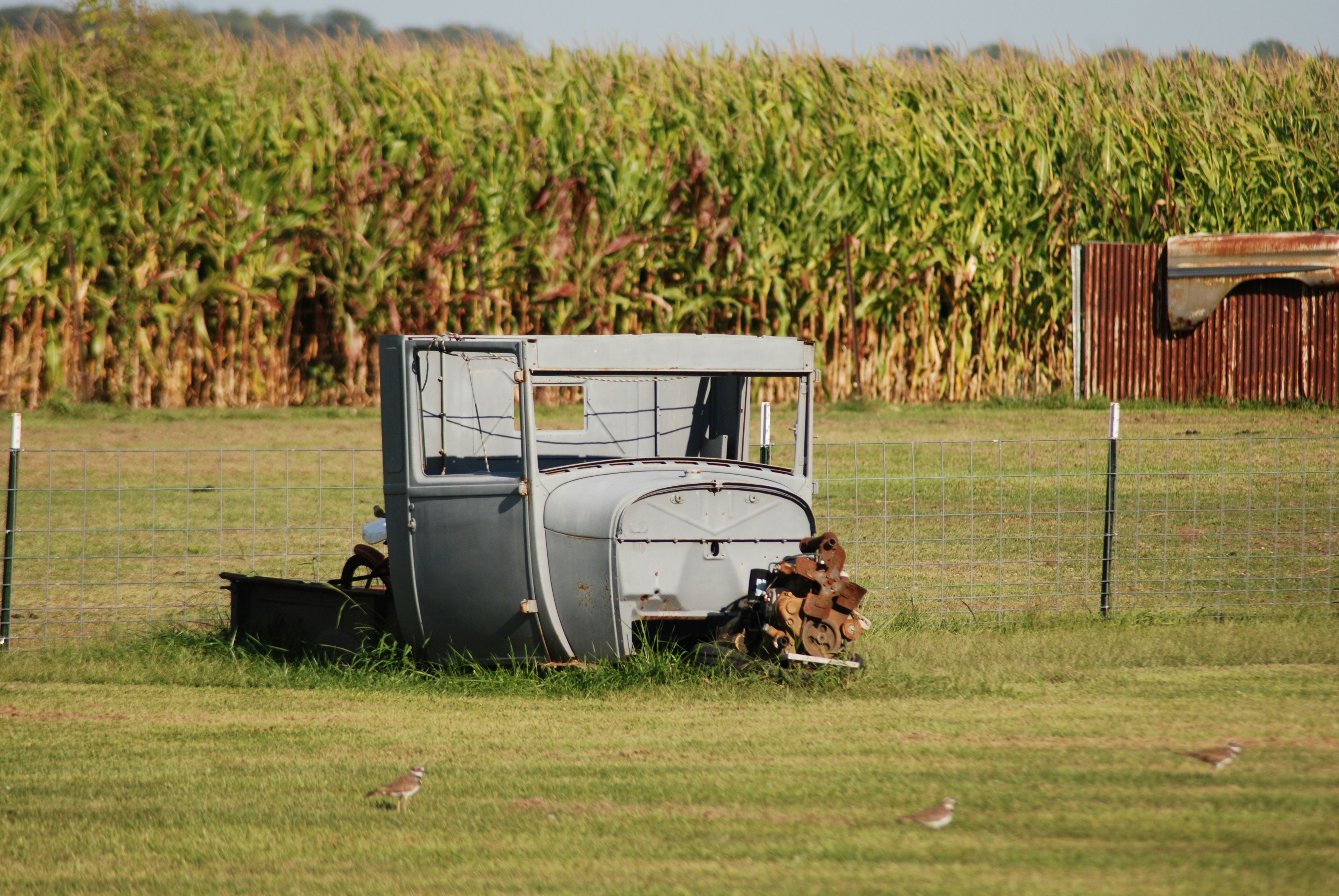 Midfield Relic: Weathered Tractor Cab Resting in Sunlit Pasture
