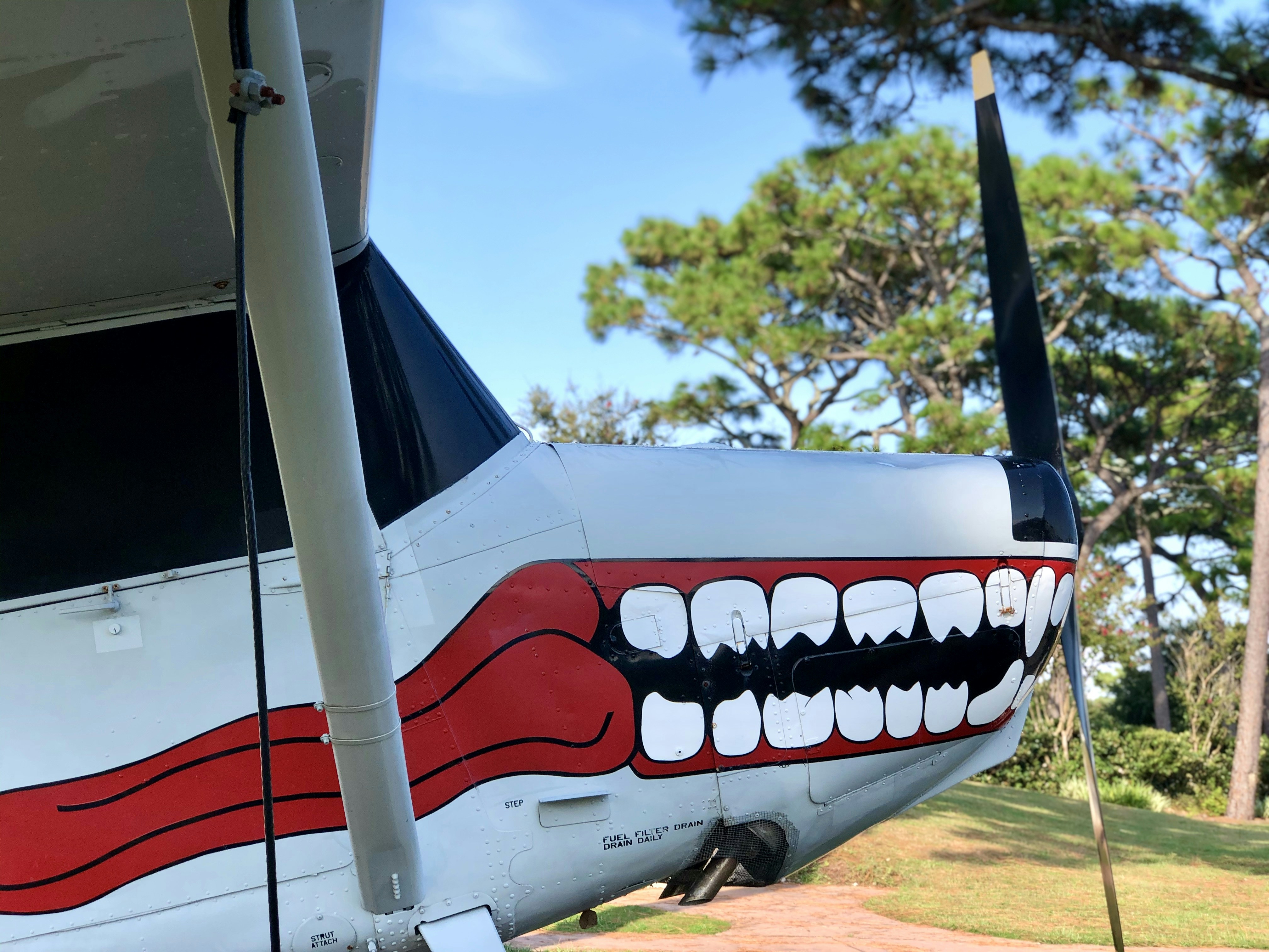 Dragon’s Smile at the Airfield: Nose Art on a Tailplane