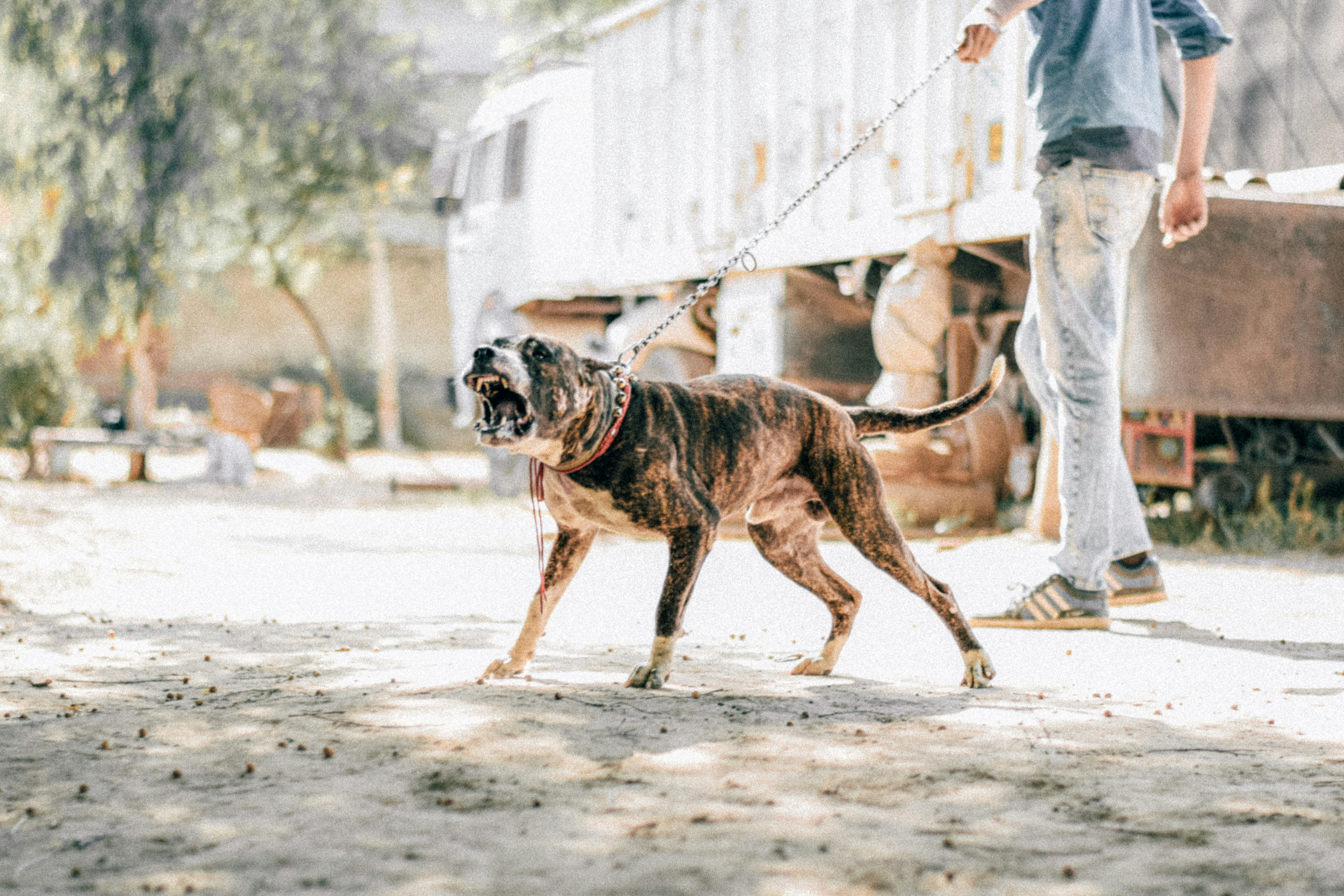 Tension on a Leash: Unleashed Energy