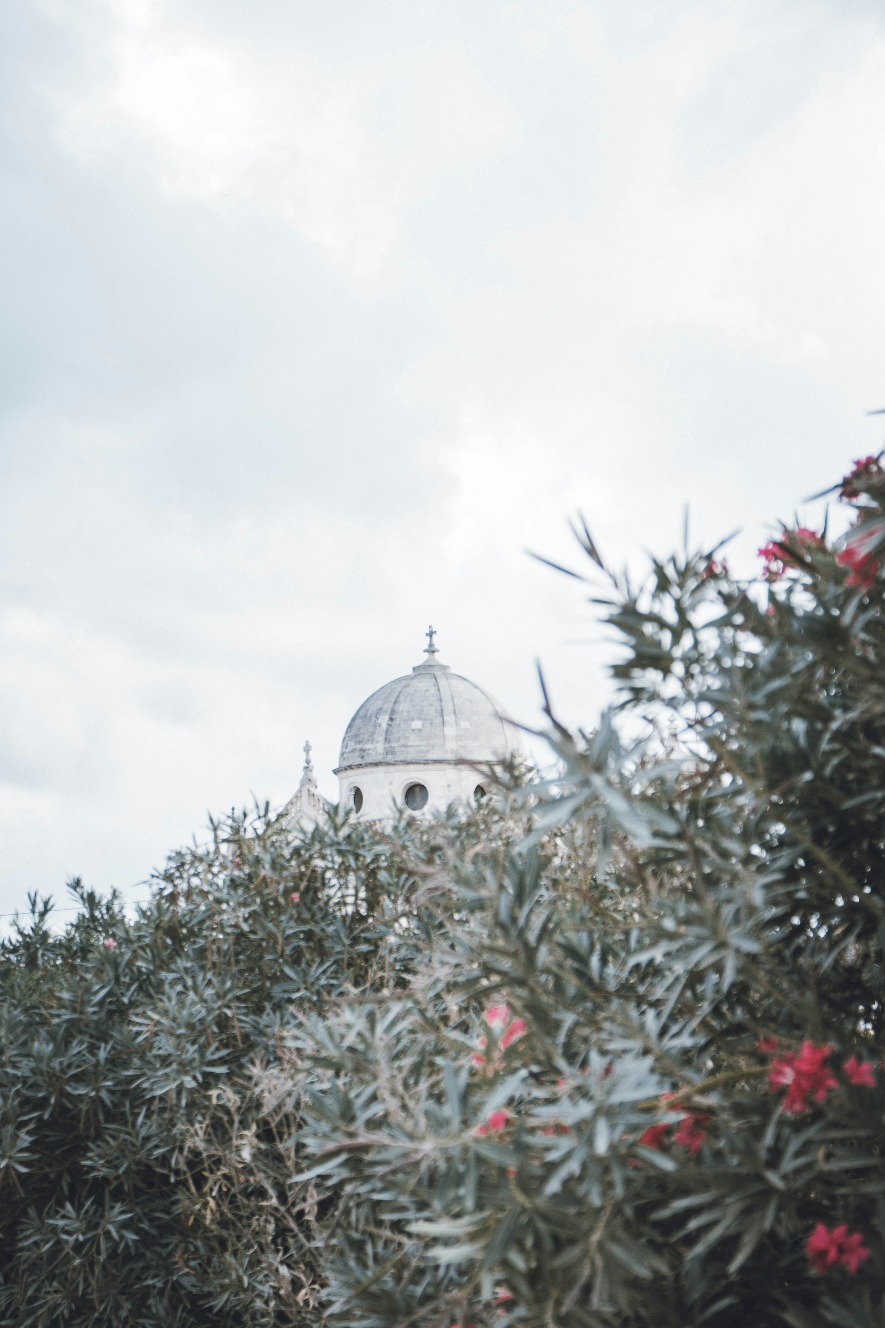 Dome of a historic building partially obscured by lush foliage and blooming flowers, conveying a sense of serenity and intrigue.
