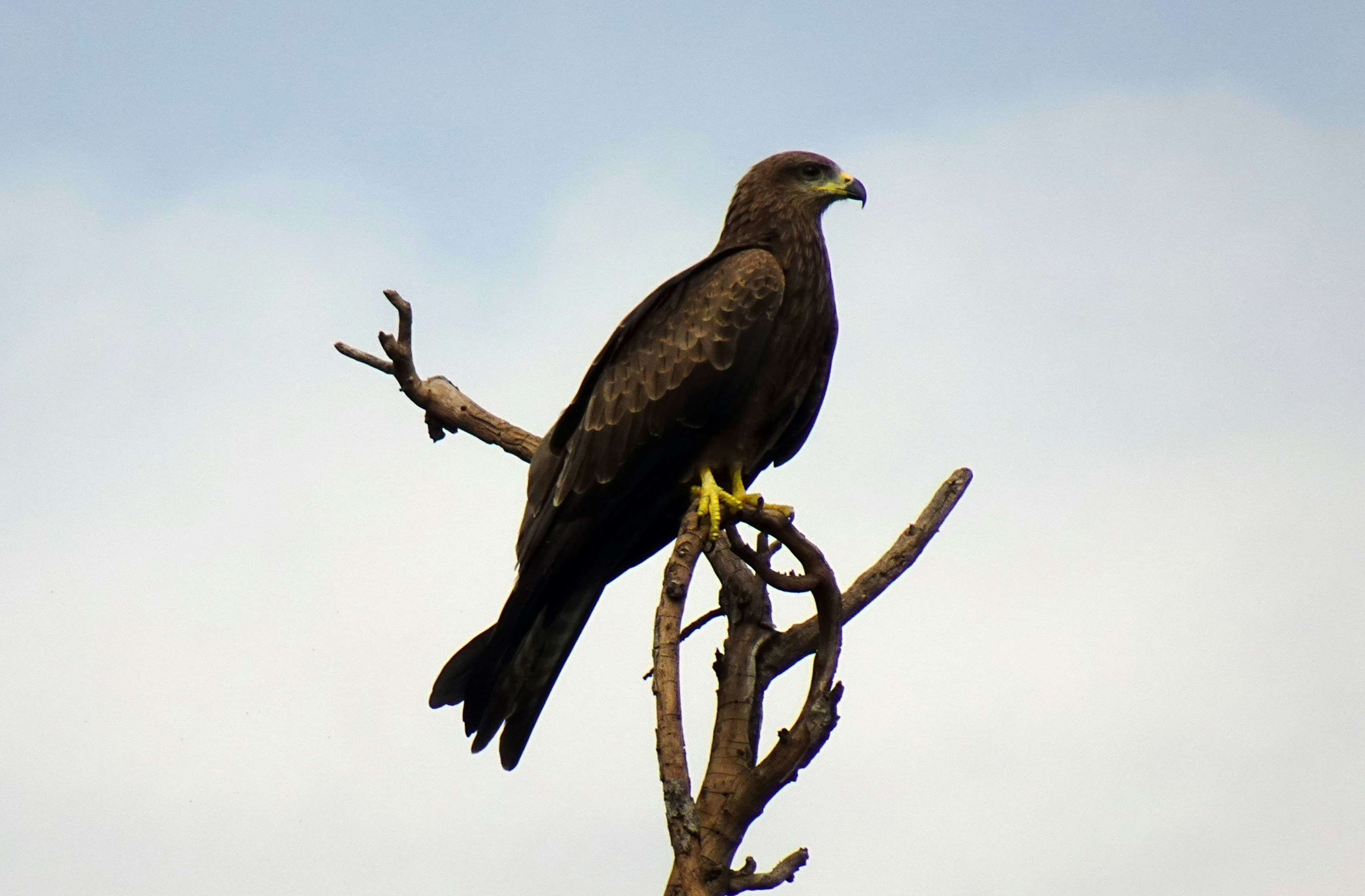 Sample photo from Sony Cyber-shot WX800