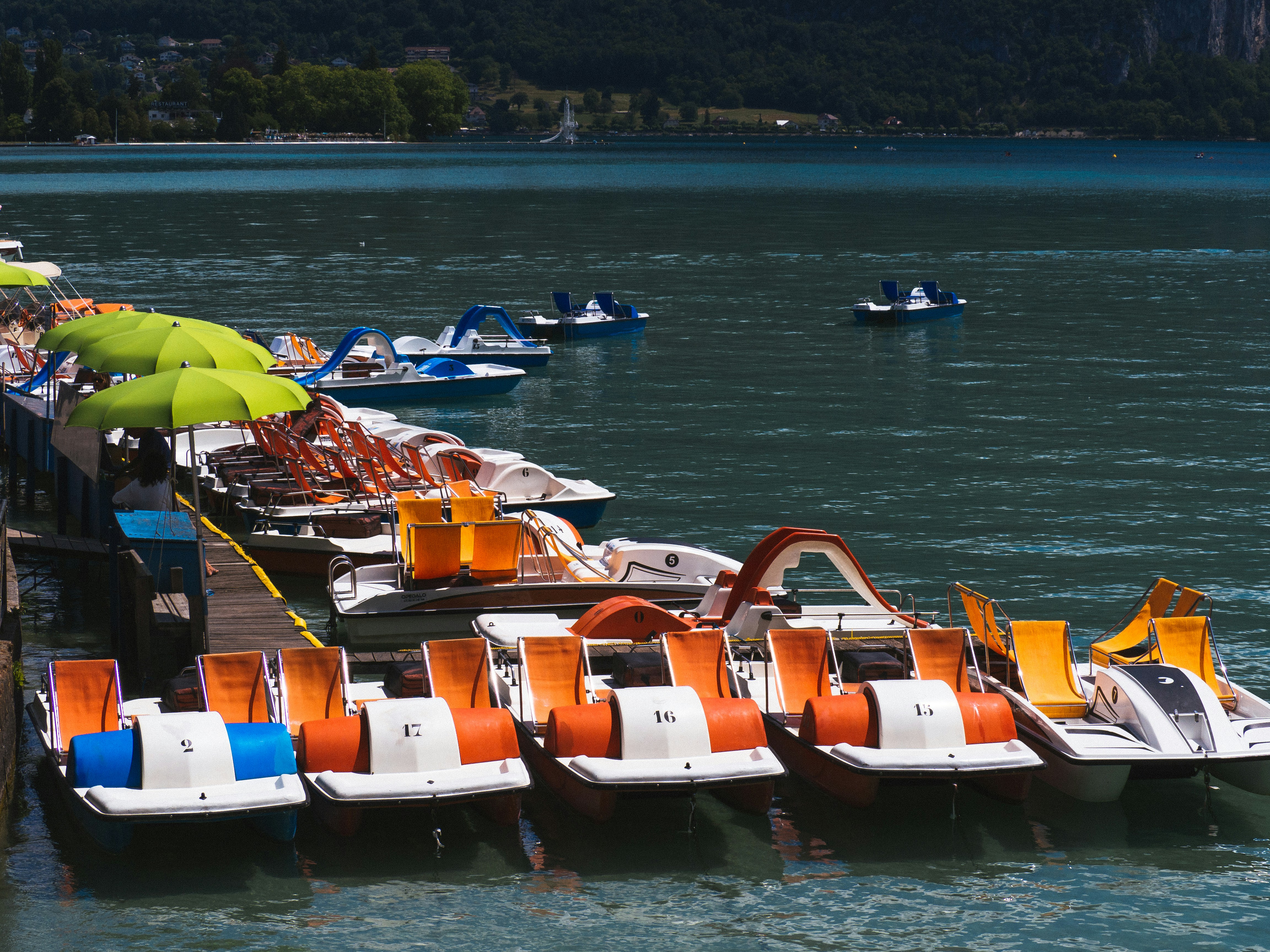 Lakeside Row of Orange-White Pedal Boats Under Green Umbrellas