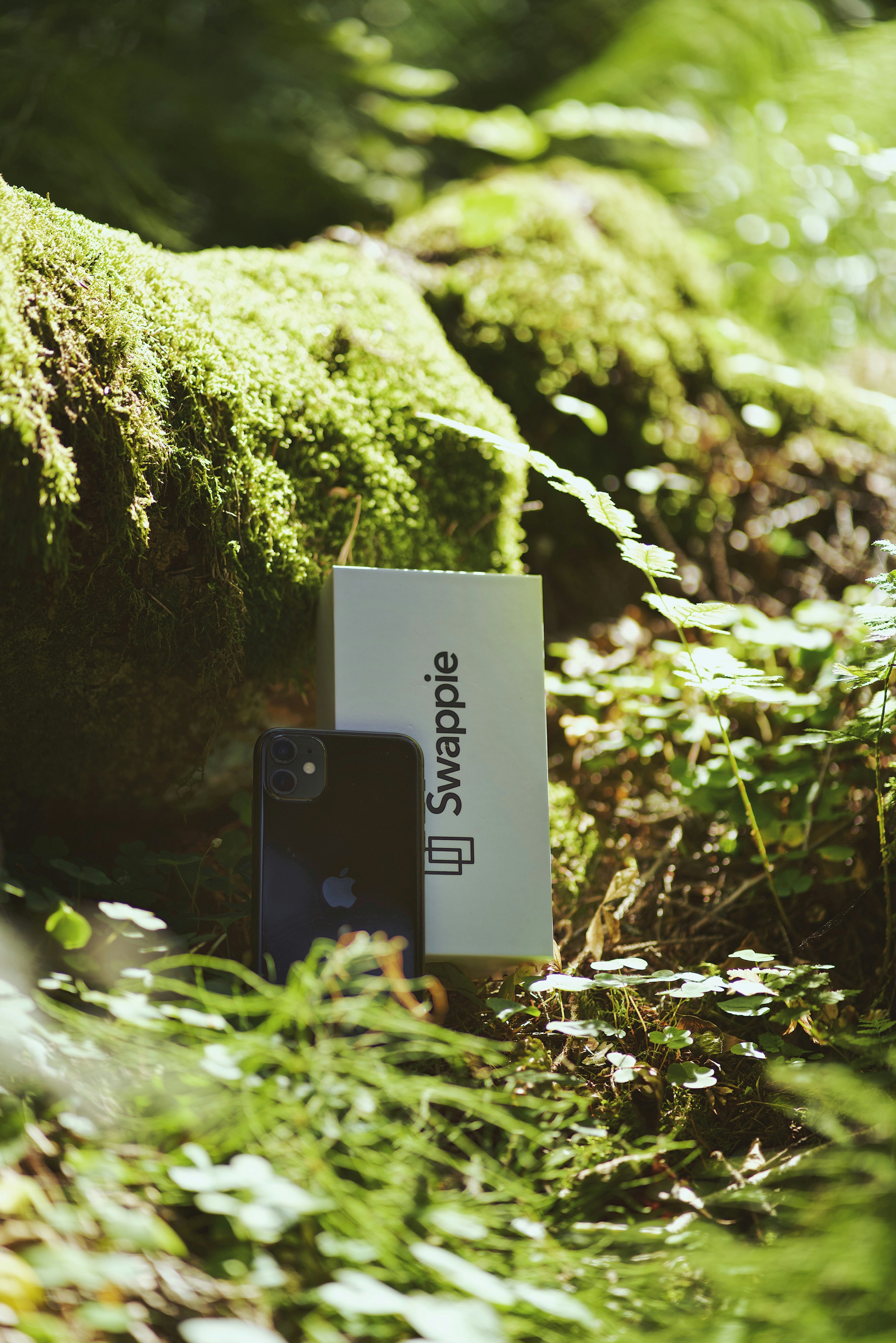 Whispering Green: A Swappie Card Framing an iPhone in Dappled Forest Light