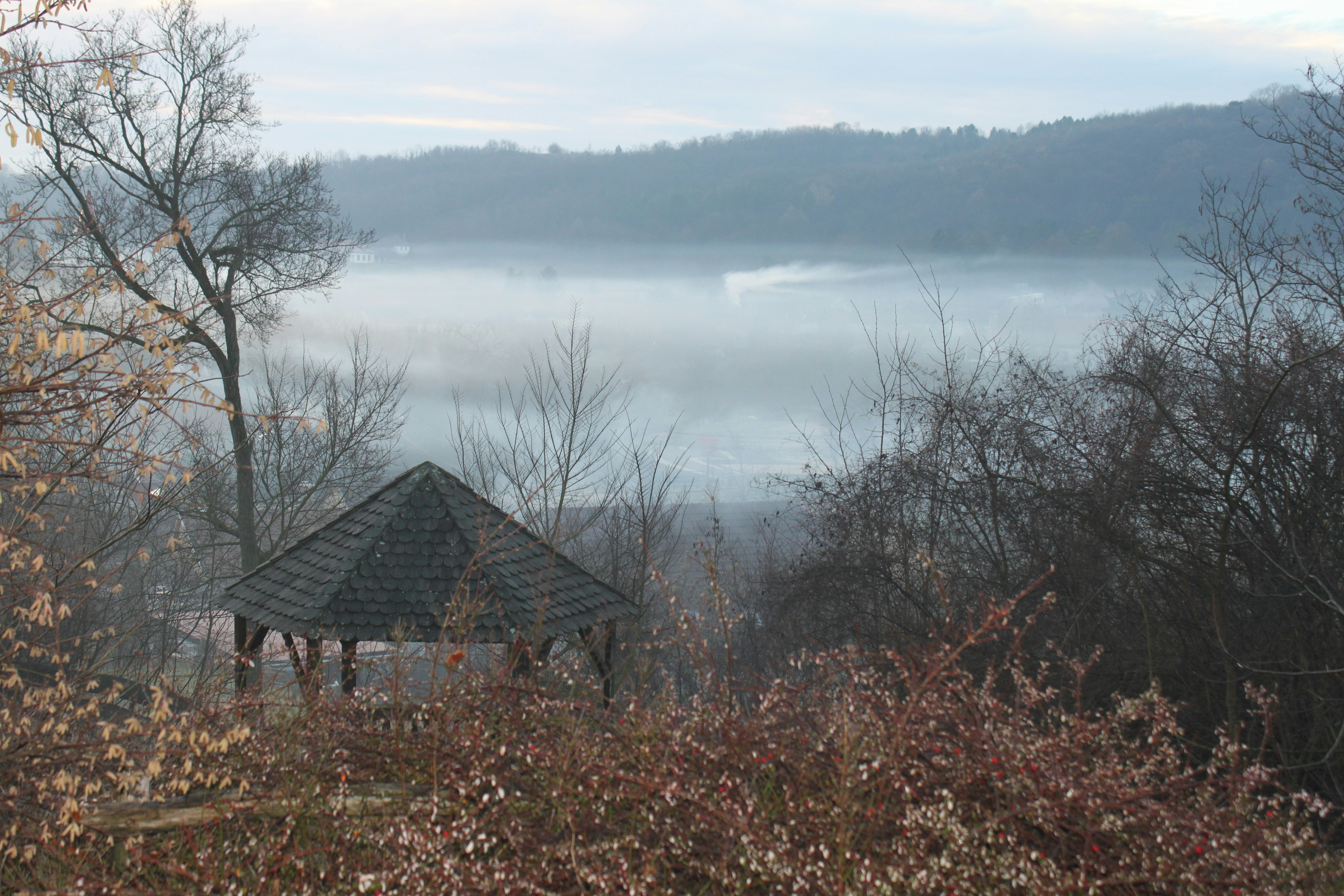 Dawn Mist over the Lake: Gazebo Framed by Spring Blossoms