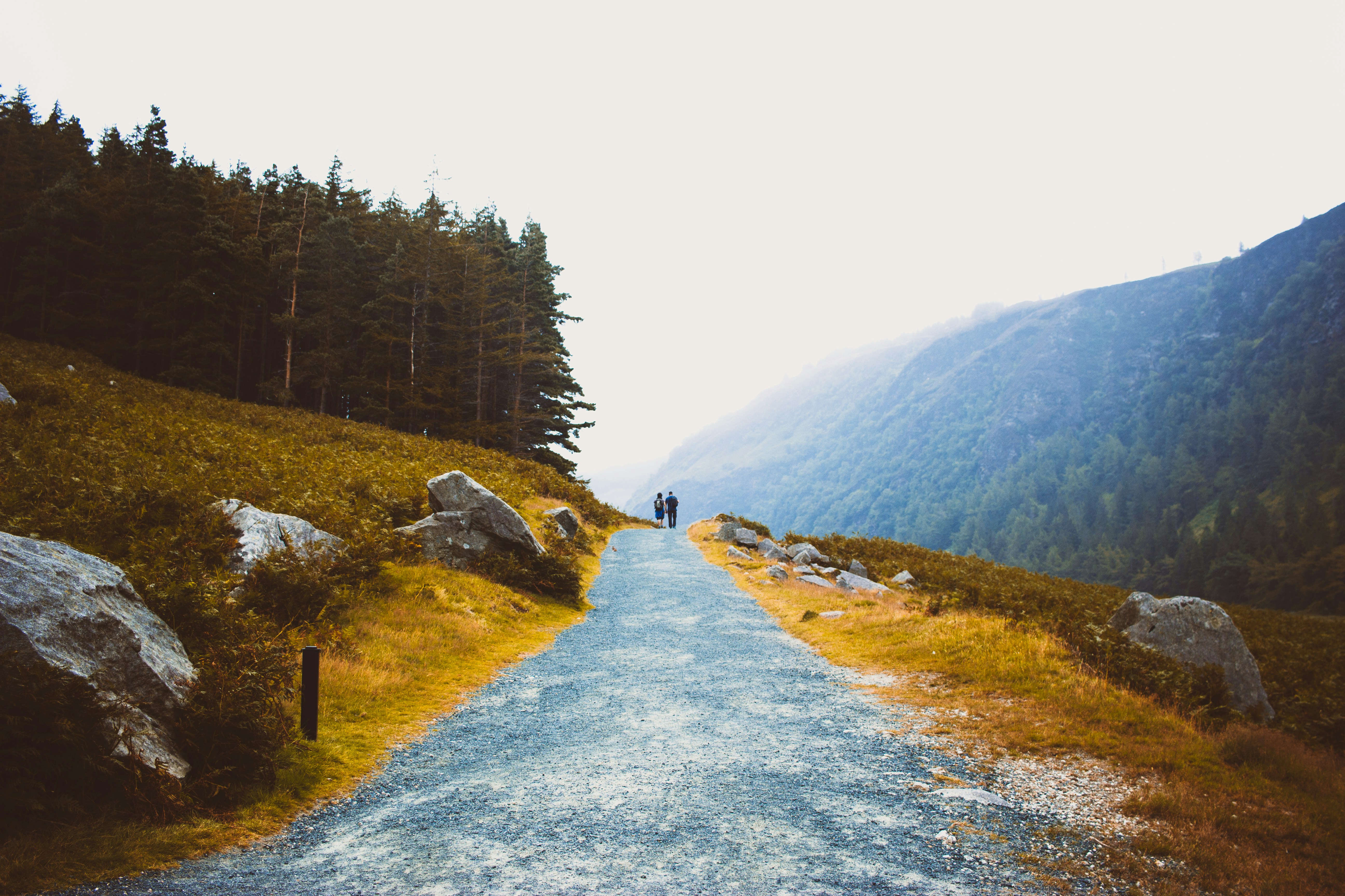 Gravel path flanked by rocky terrain and dense forest leading into misty hills.
