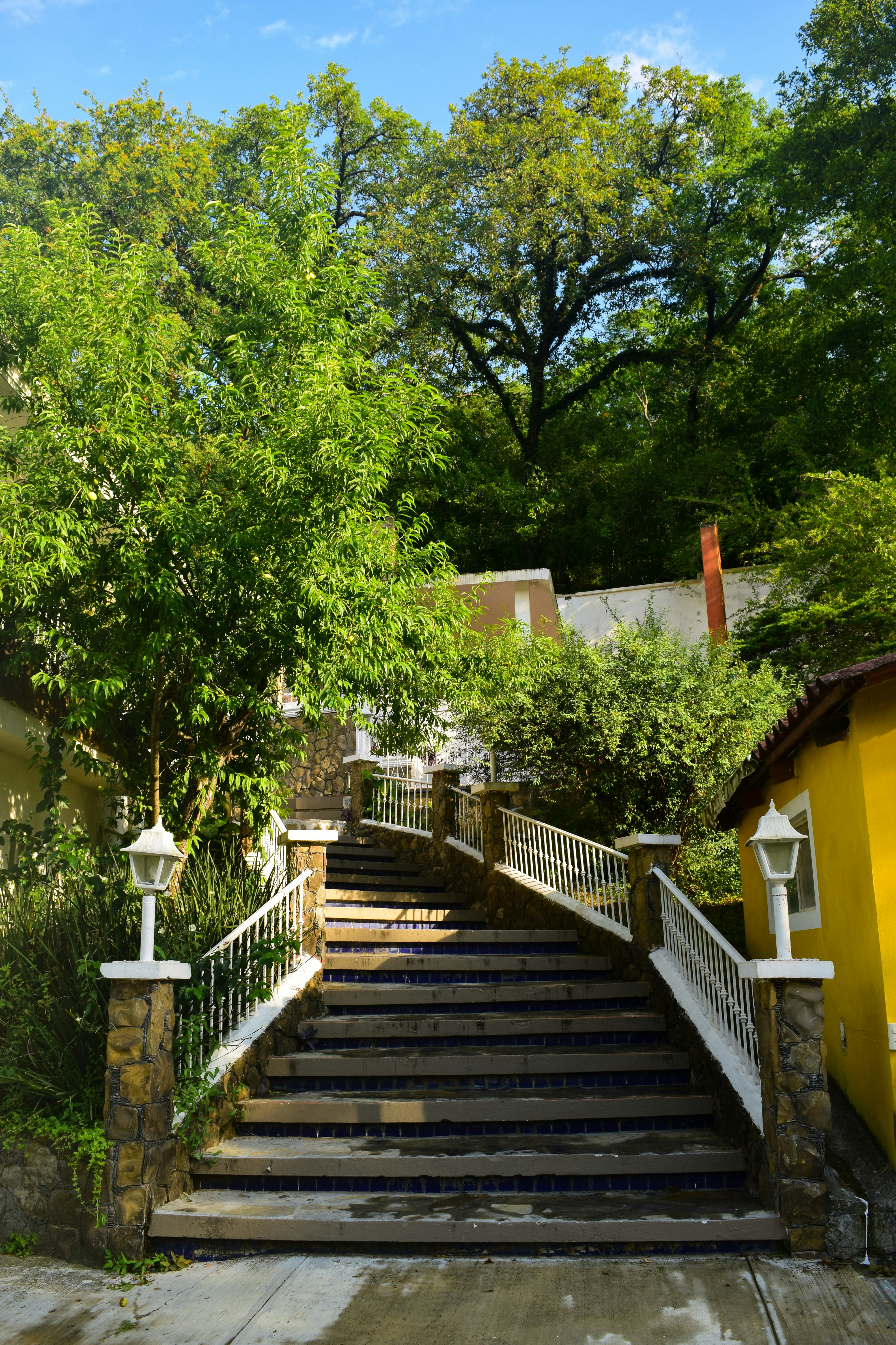 Verdant Staircase: Sunlit Steps Through a Quiet Courtyard