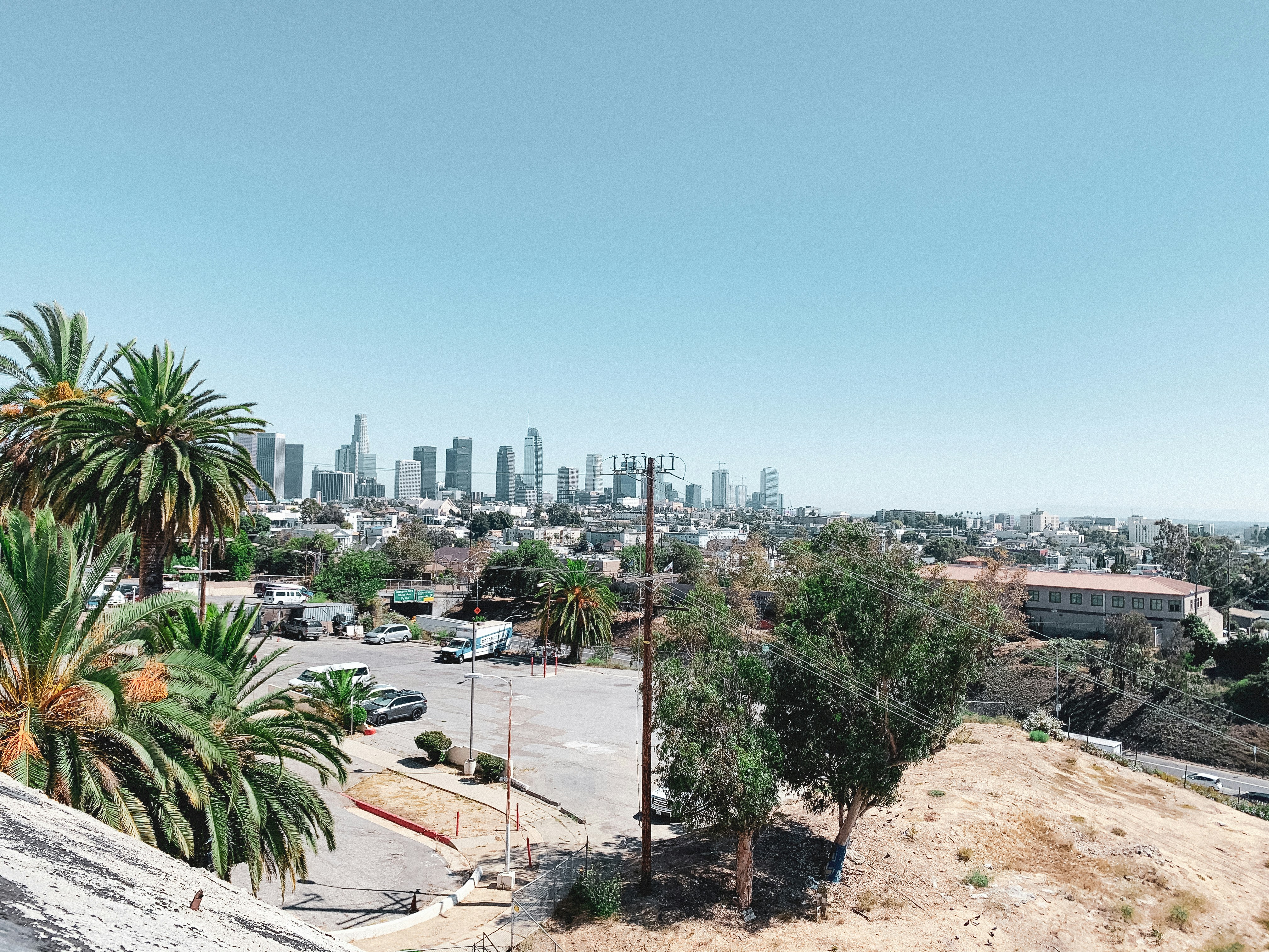 View of a vibrant city skyline framed by palm trees, showcasing the contrast between urban architecture and natural greenery.