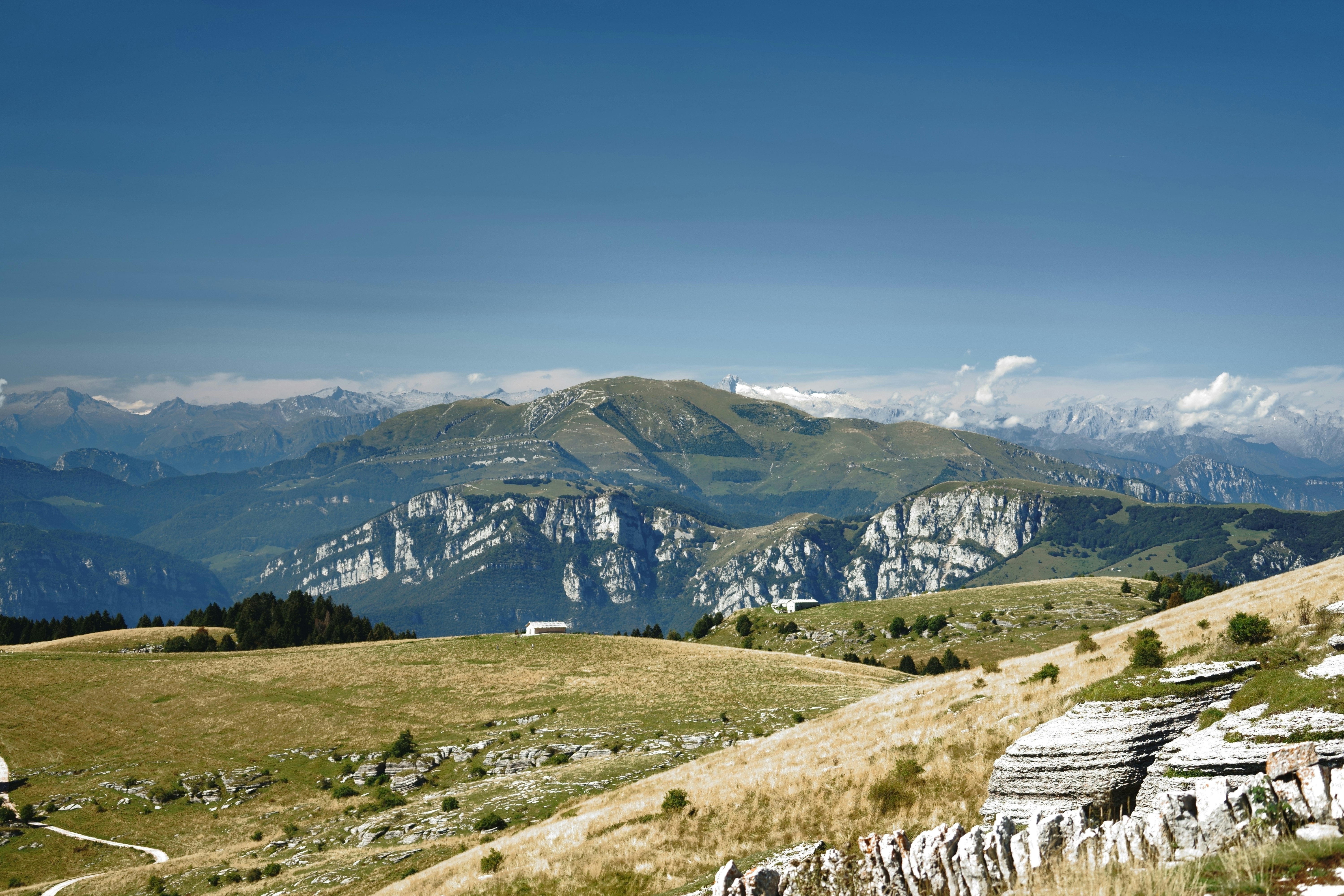 Whispering Ridge: Alpine Pastures and Limestone Cliffs under a Sapphire Sky