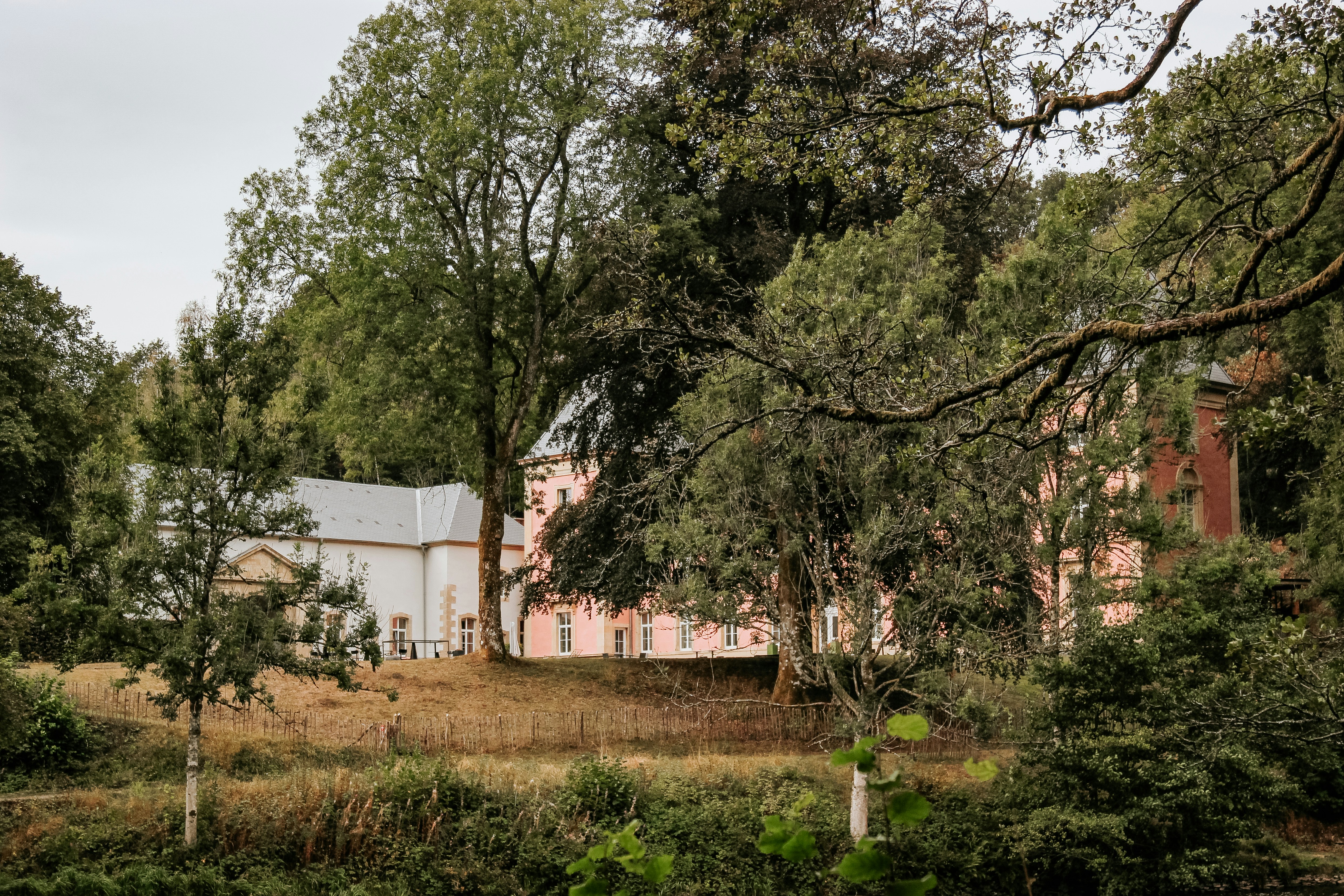 Tall green trees surround a quaint white and pink building under an overcast sky.