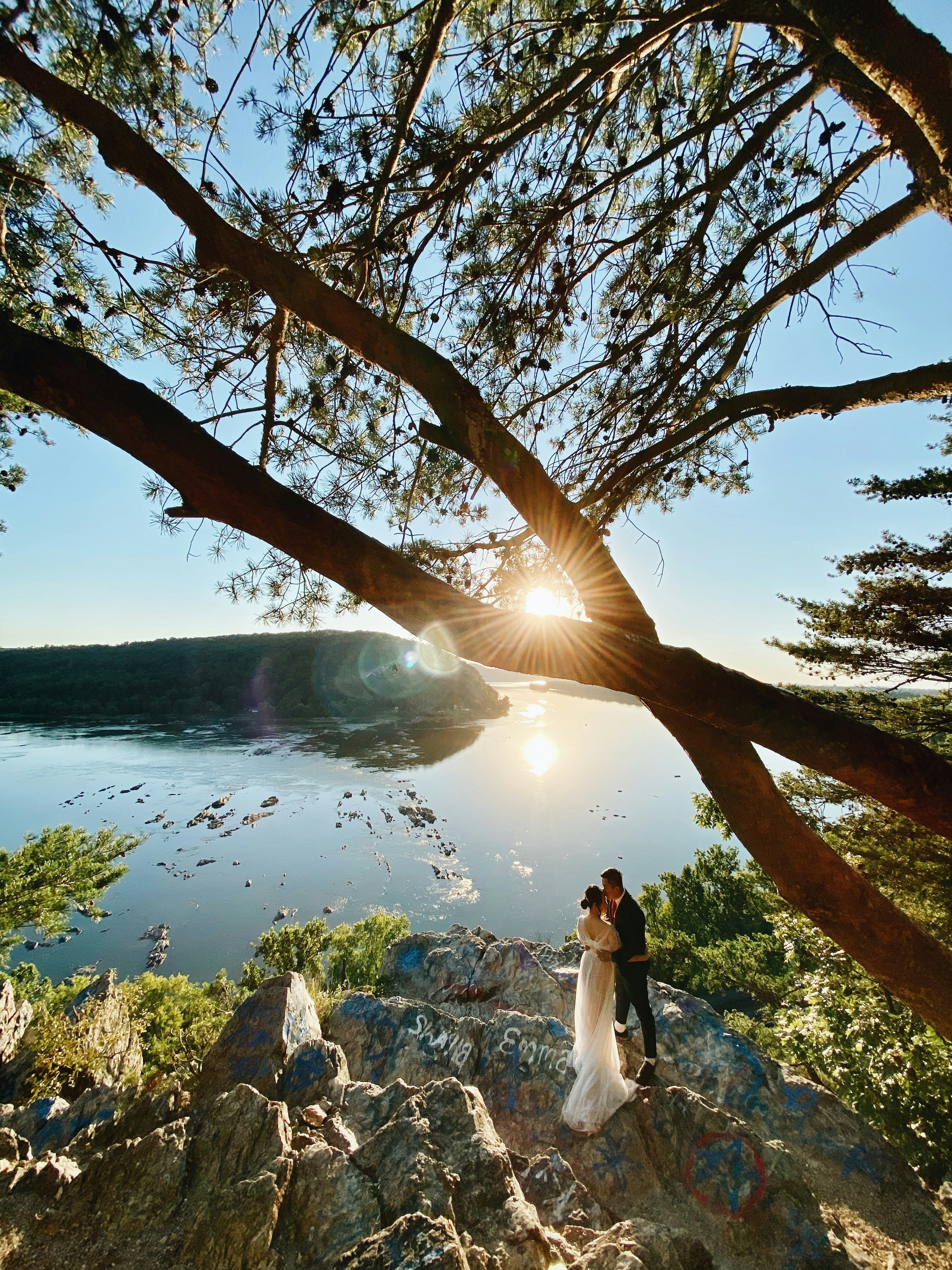 Cliffside Vows Beneath a Sunlit Tree Over a Tranquil Lake