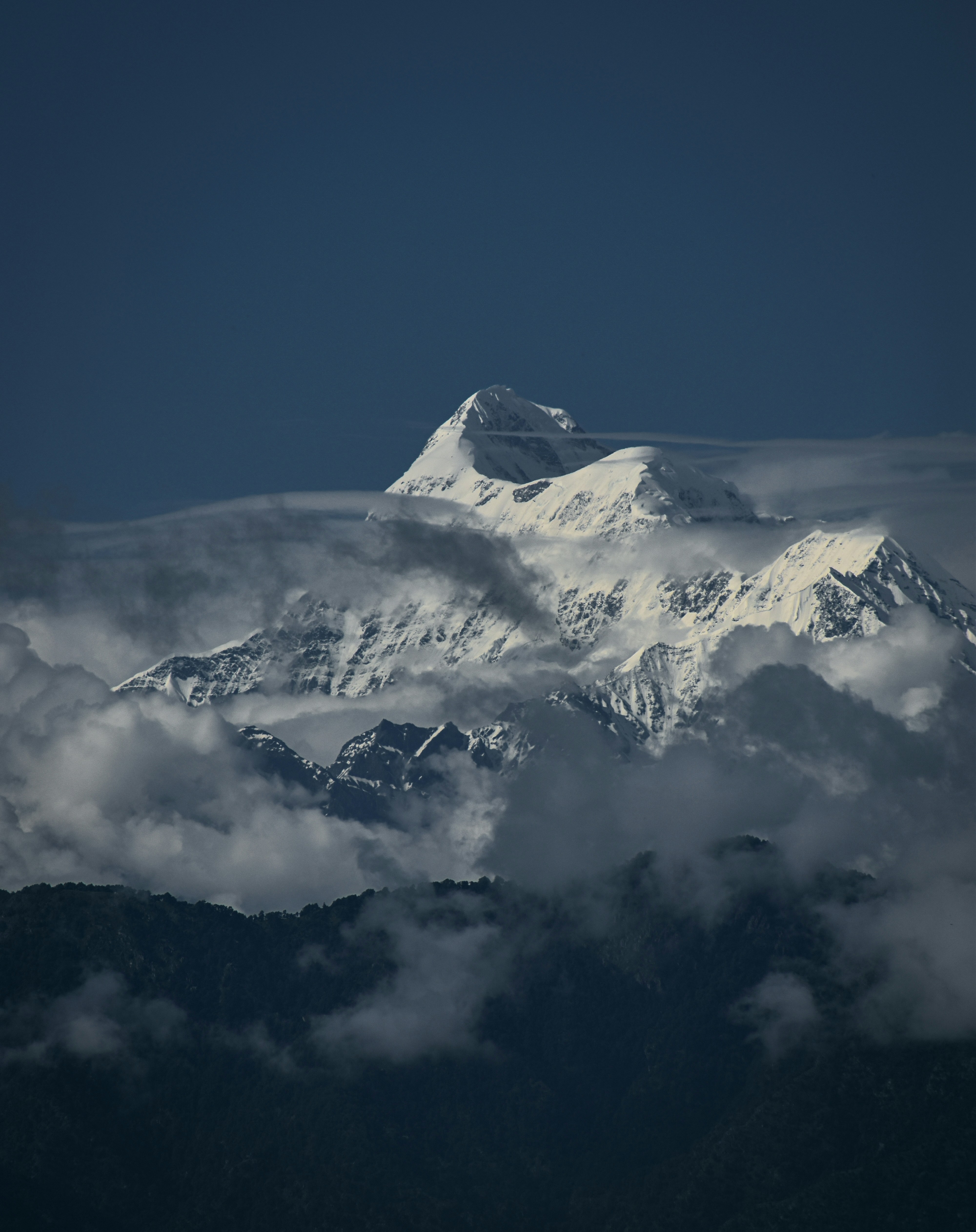 Snow-capped mountain peak rising above a blanket of clouds under a clear blue sky.